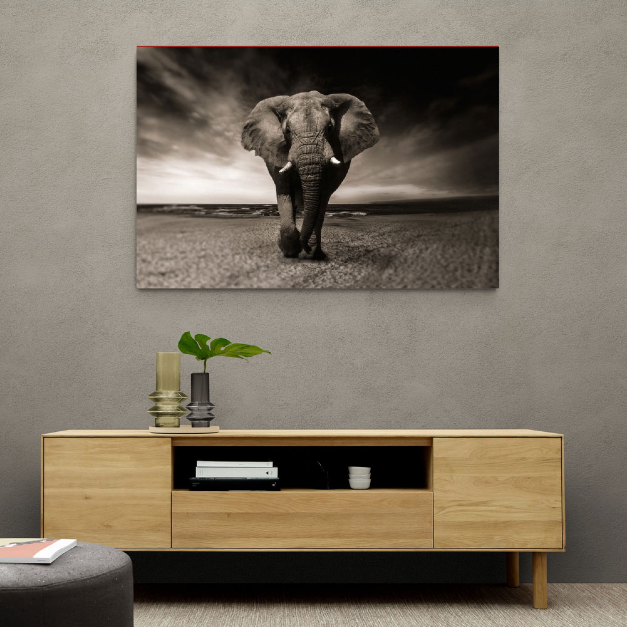 Elephant Wall Art