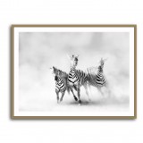 Zebras Wall Art