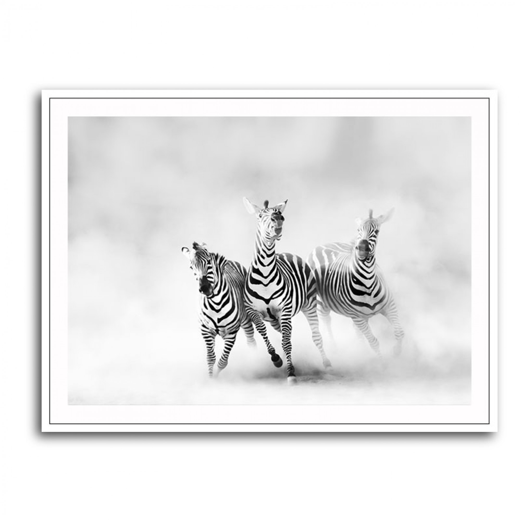 Zebras Wall Art