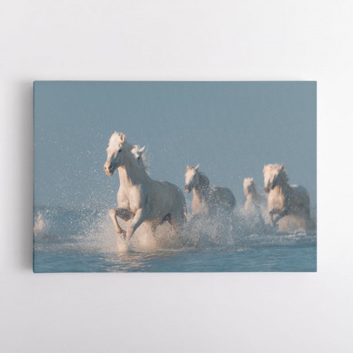 A Giant Unity Wall Art