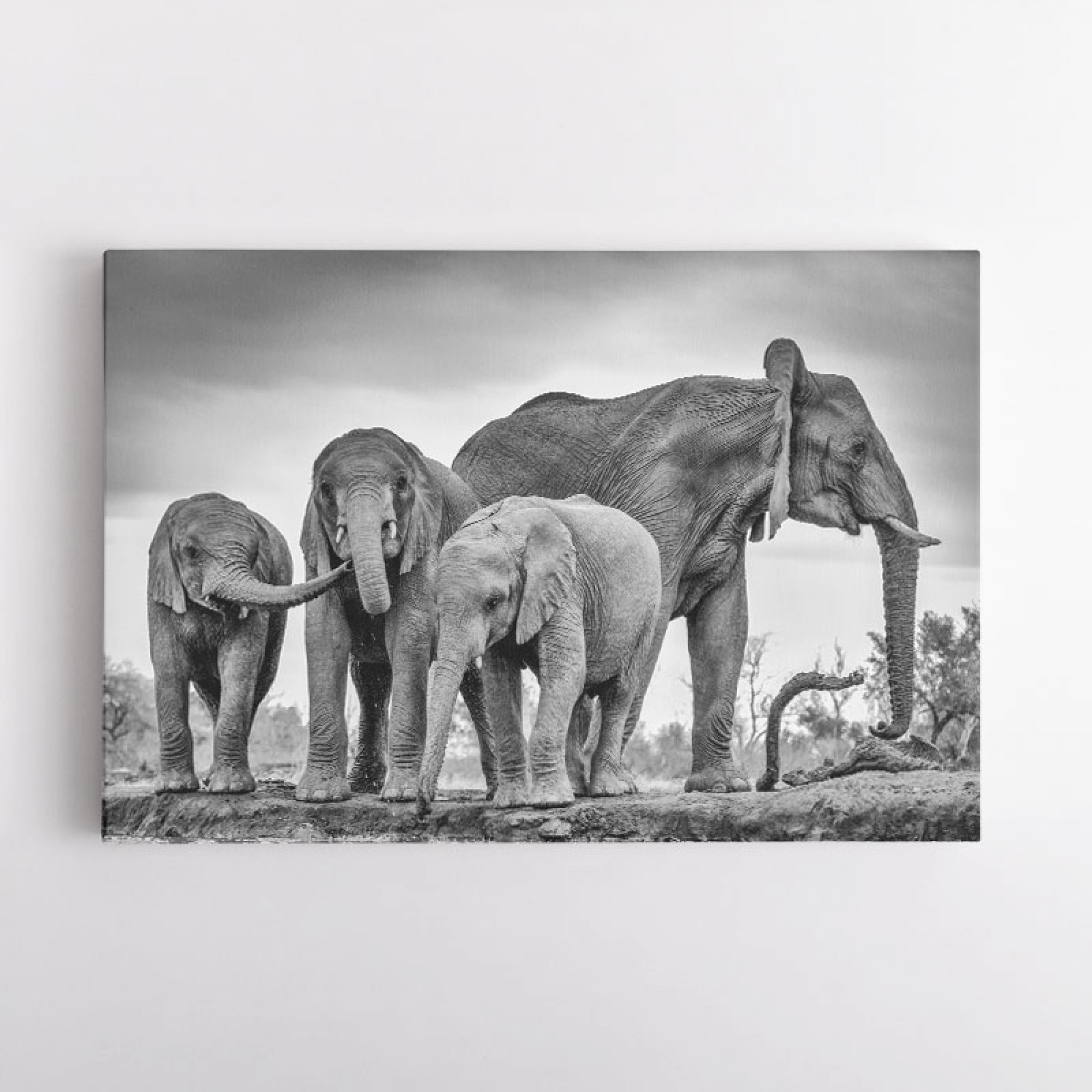 A Giant Unity Wall Art