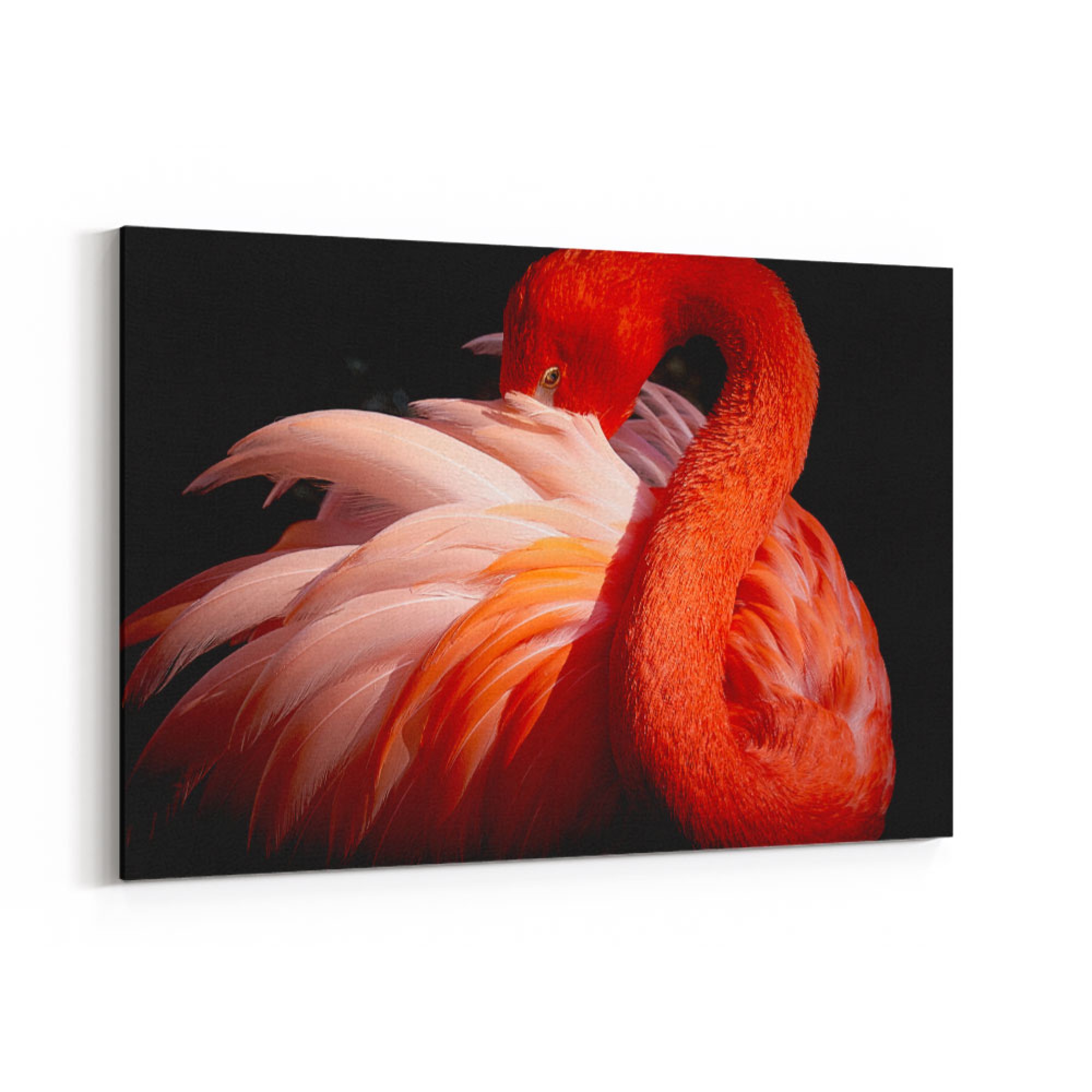 Flamingo Wall Art