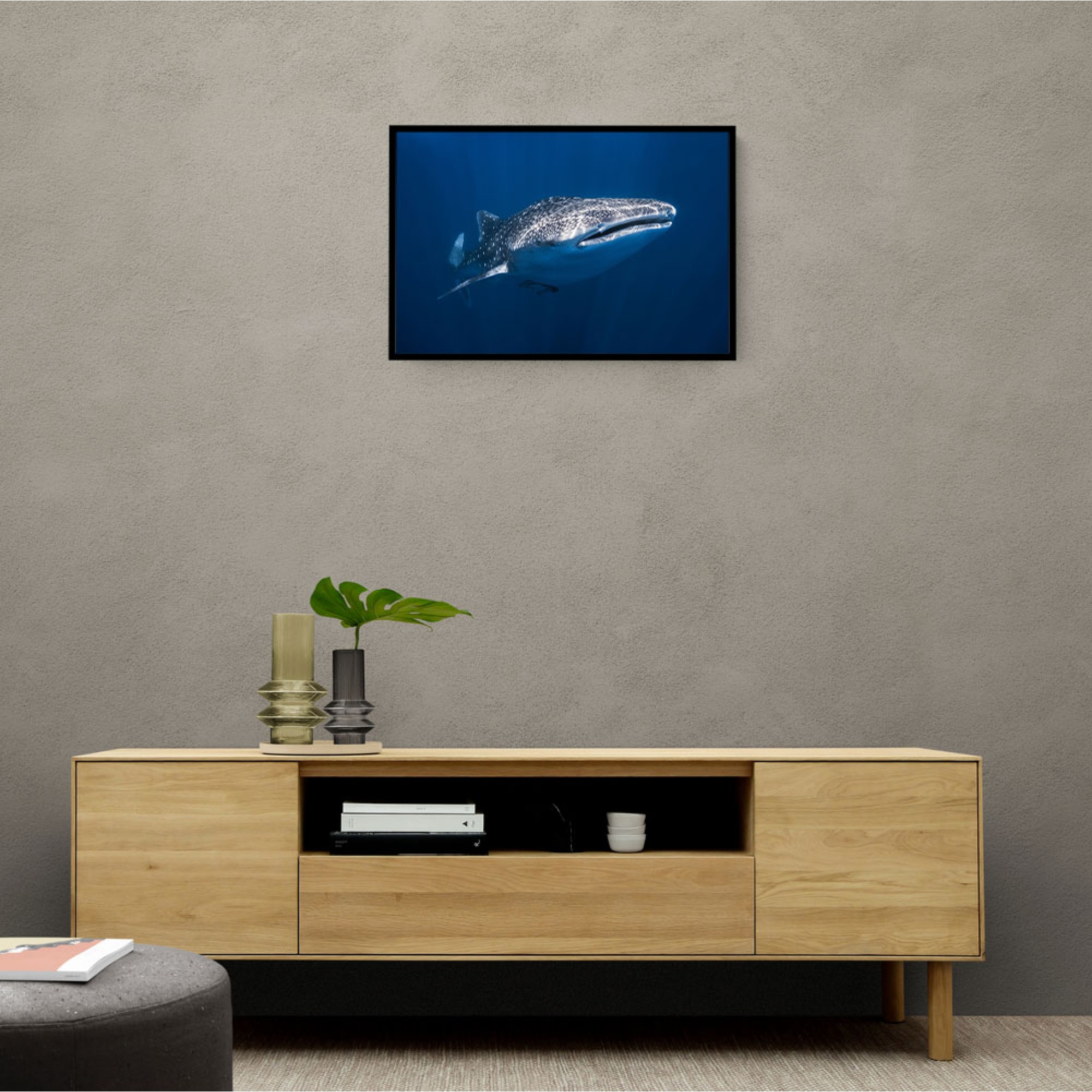 Whale Shark Wall Art