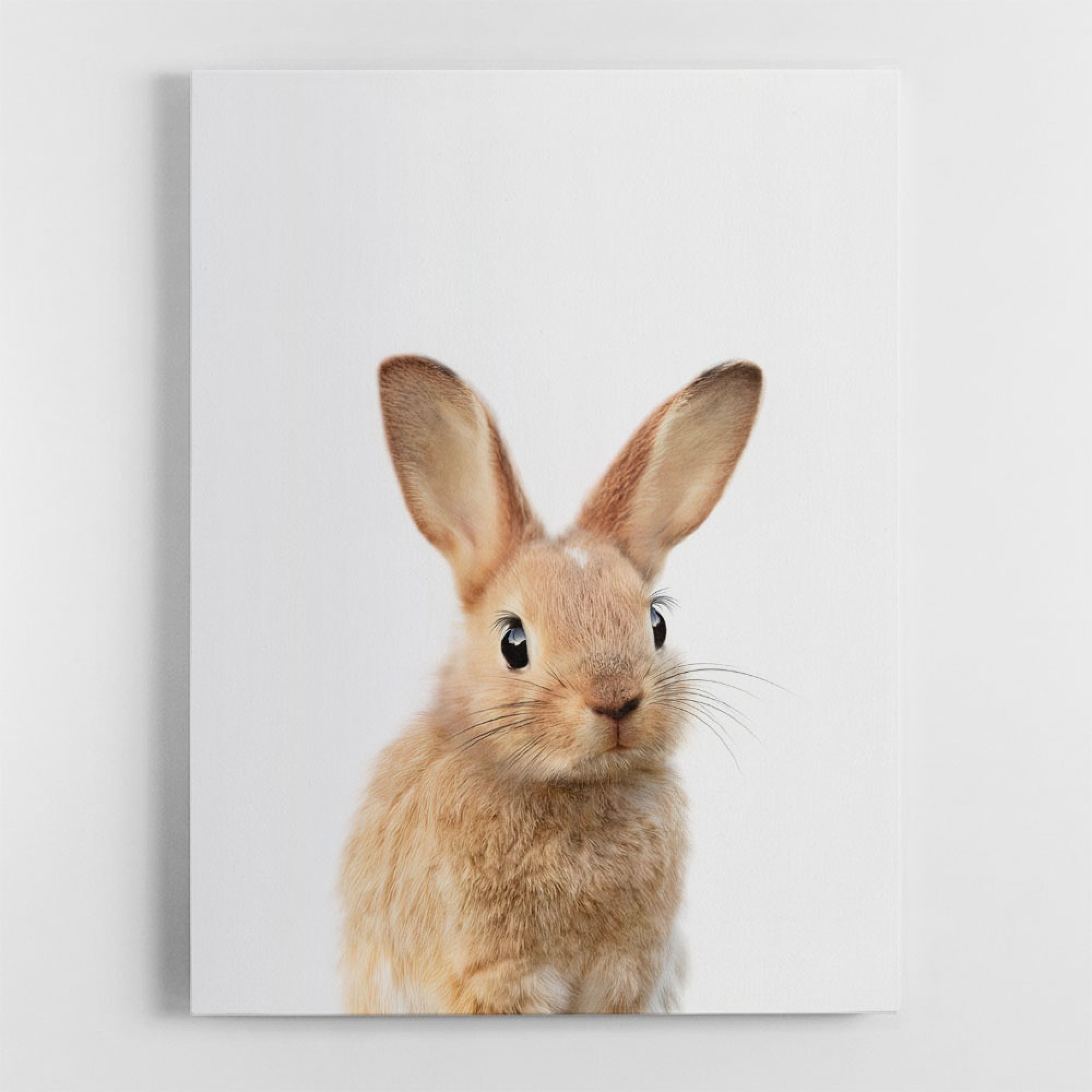 Baby Bunny Wall Art