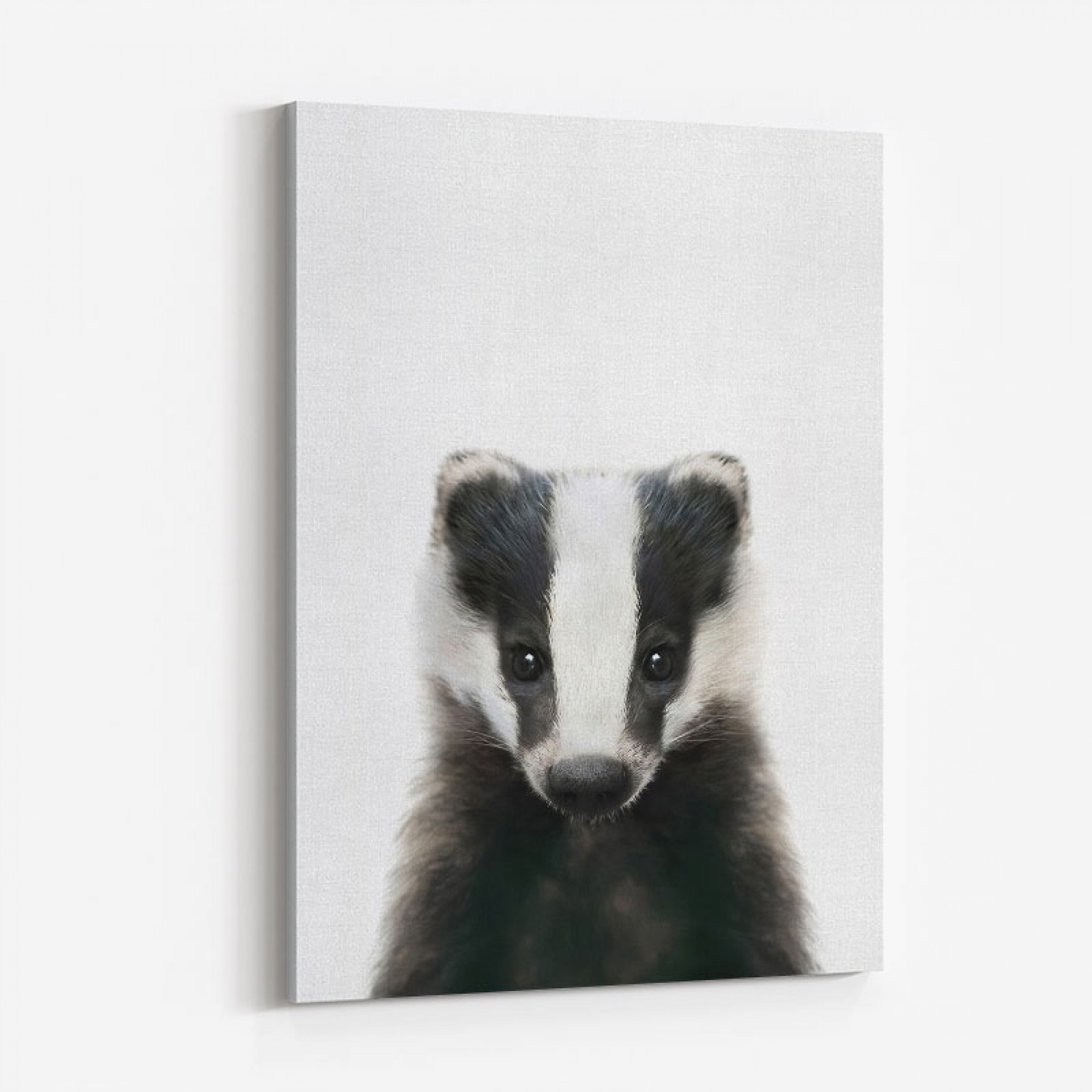 Baby Badger Wall Art