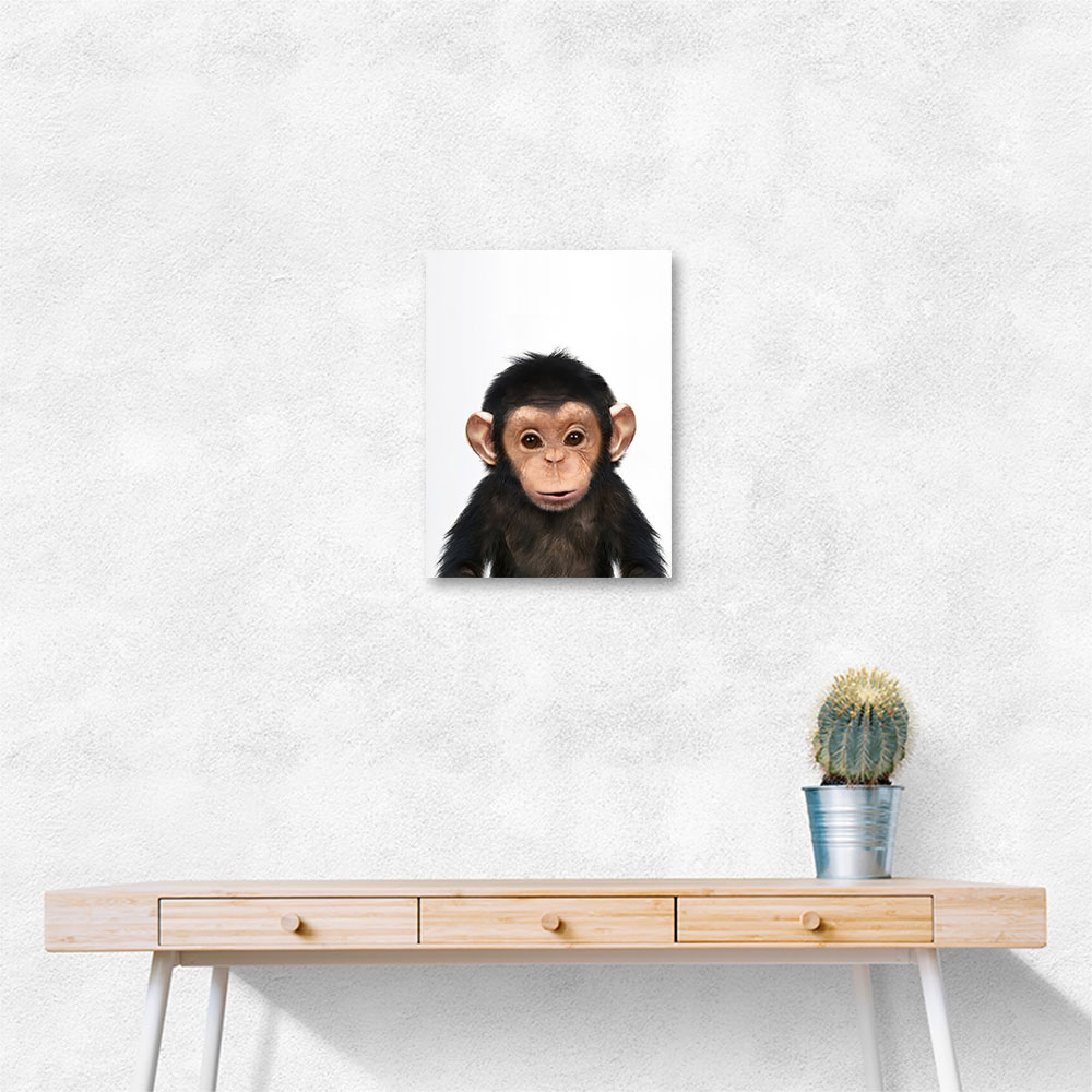 Baby Chimp Wall Art