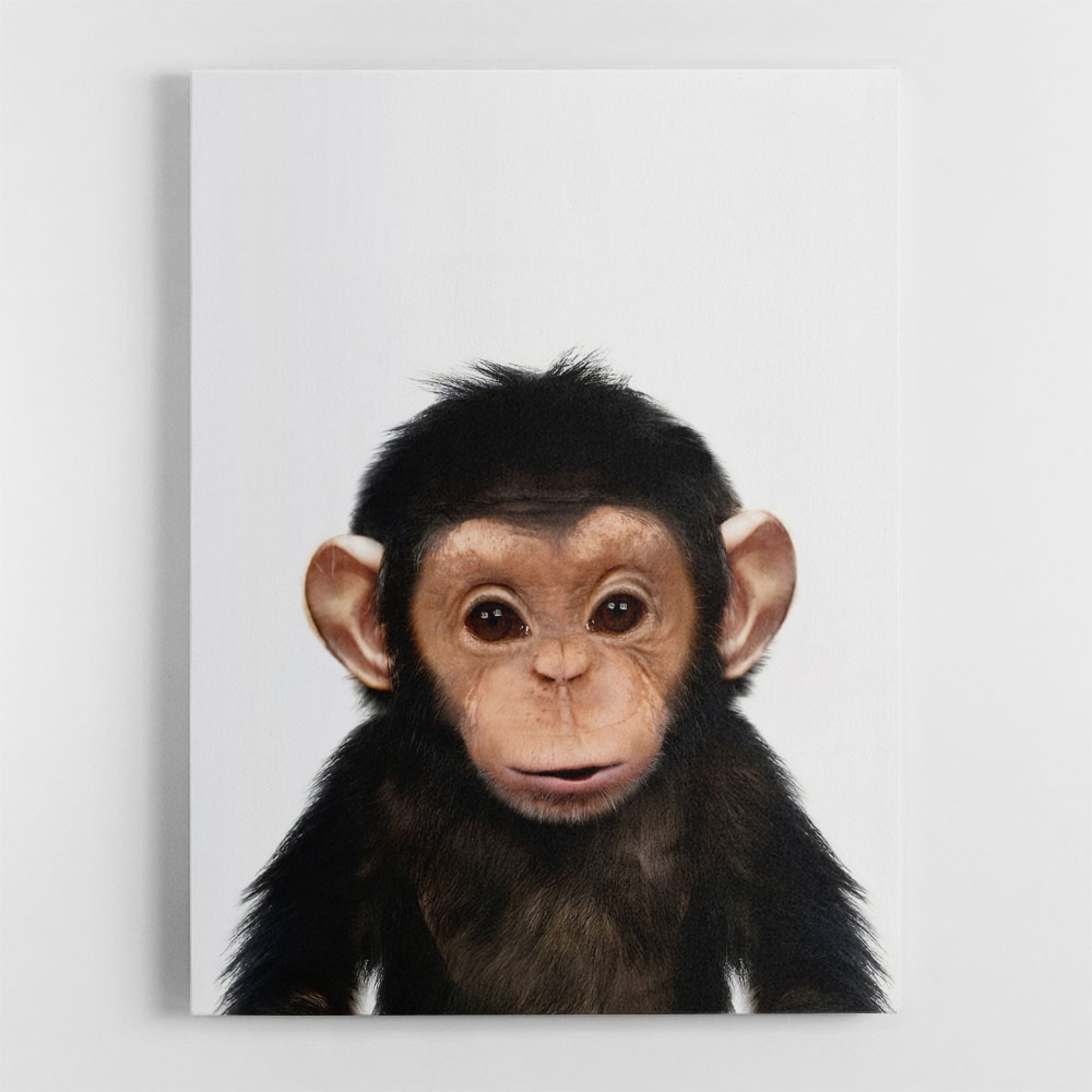 Baby Chimp Wall Art