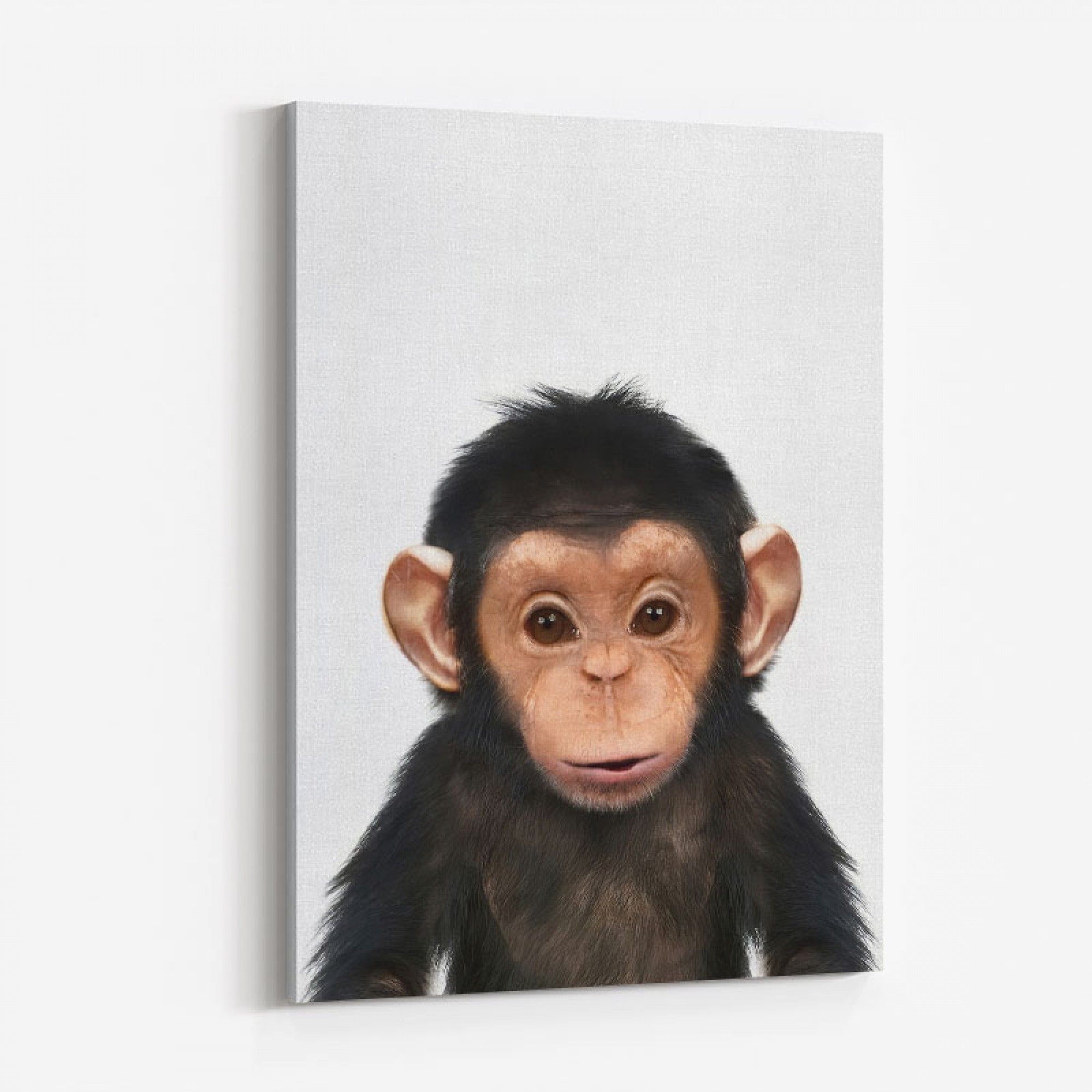 Baby Chimp Wall Art
