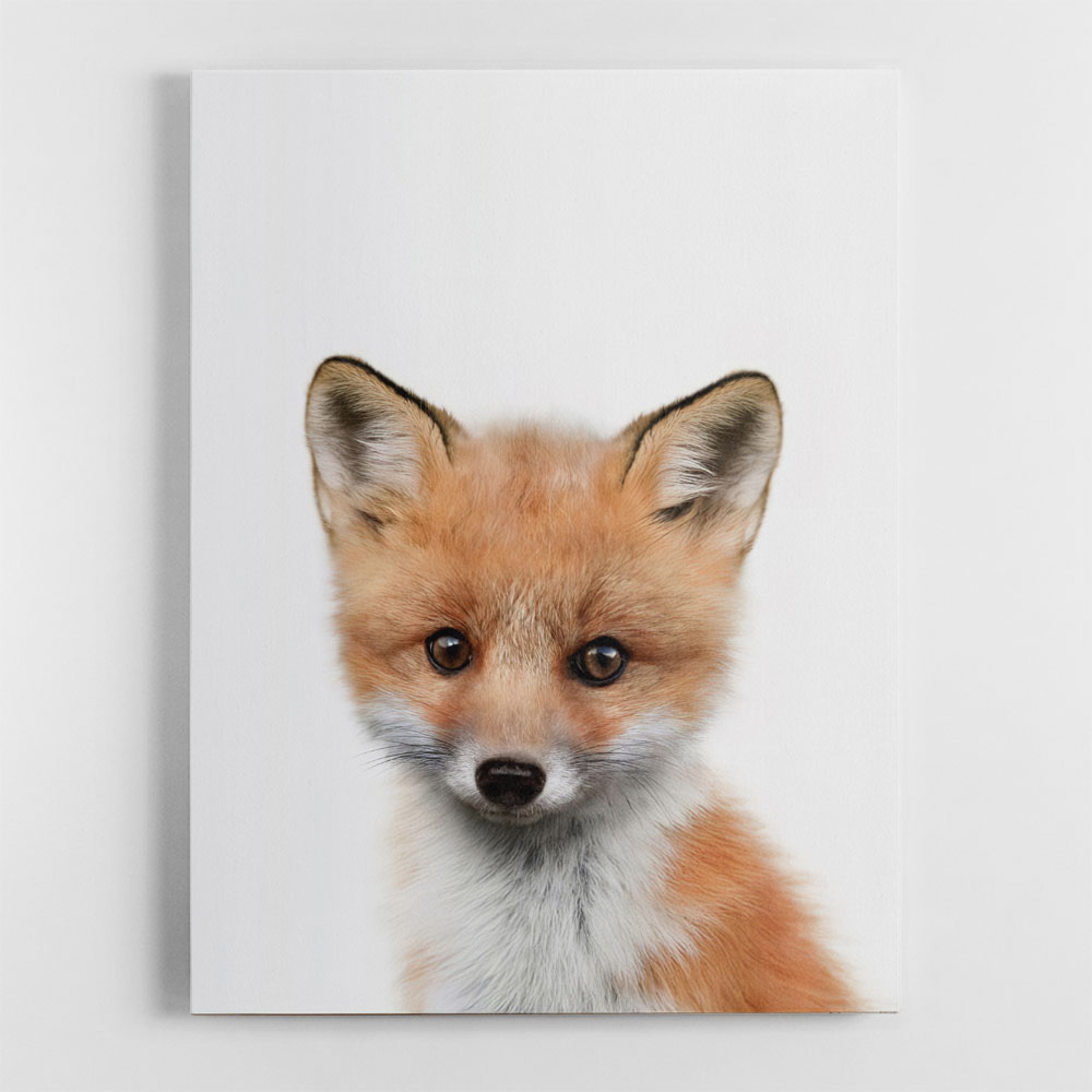Baby Fox Wall Art