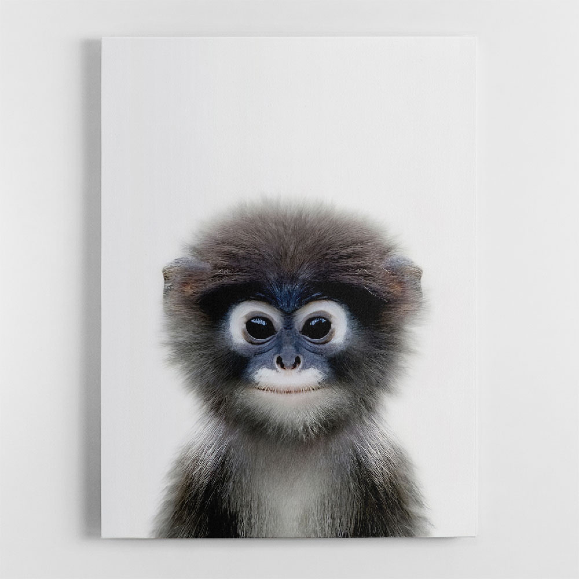 Baby Monkey Wall Art