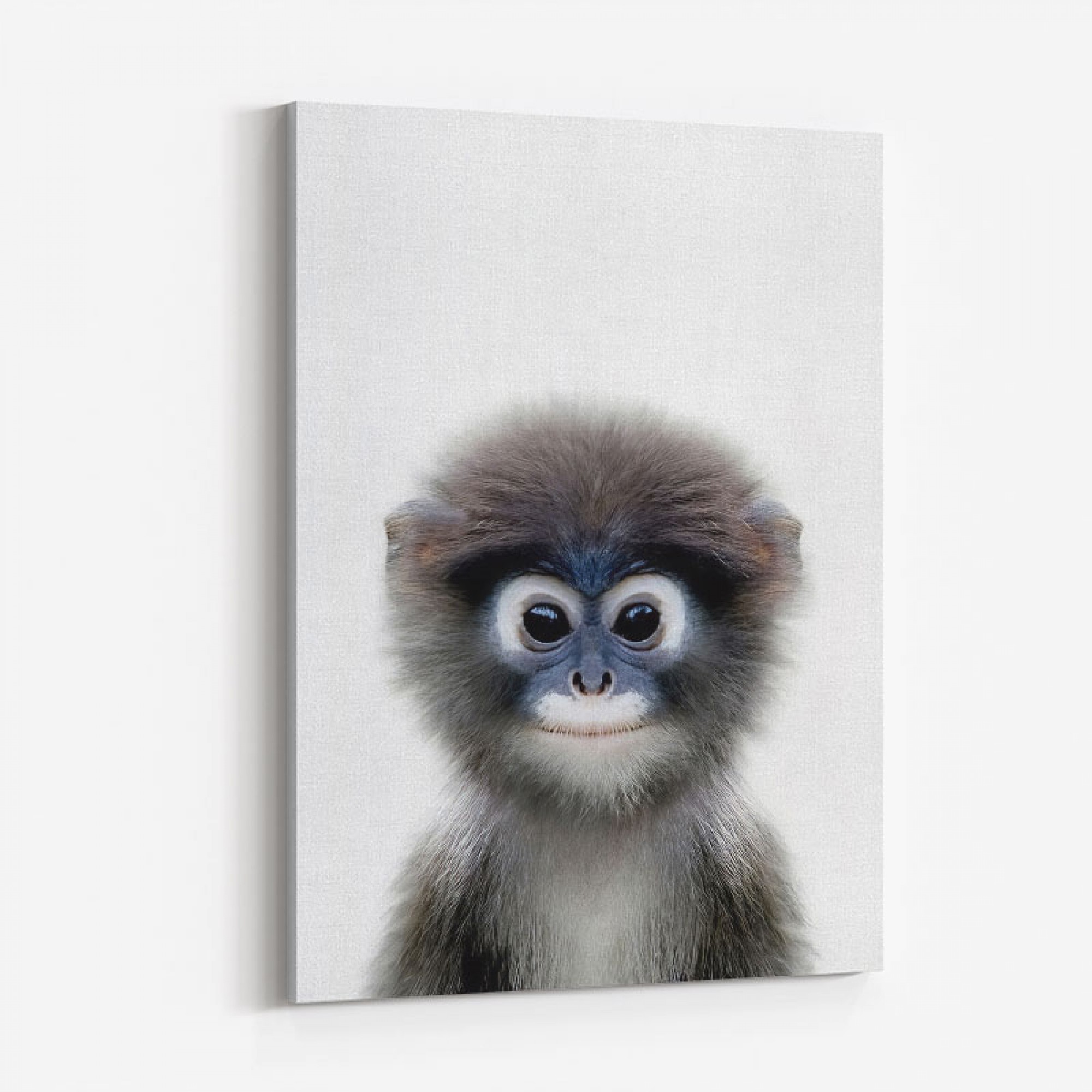 Baby Monkey Wall Art