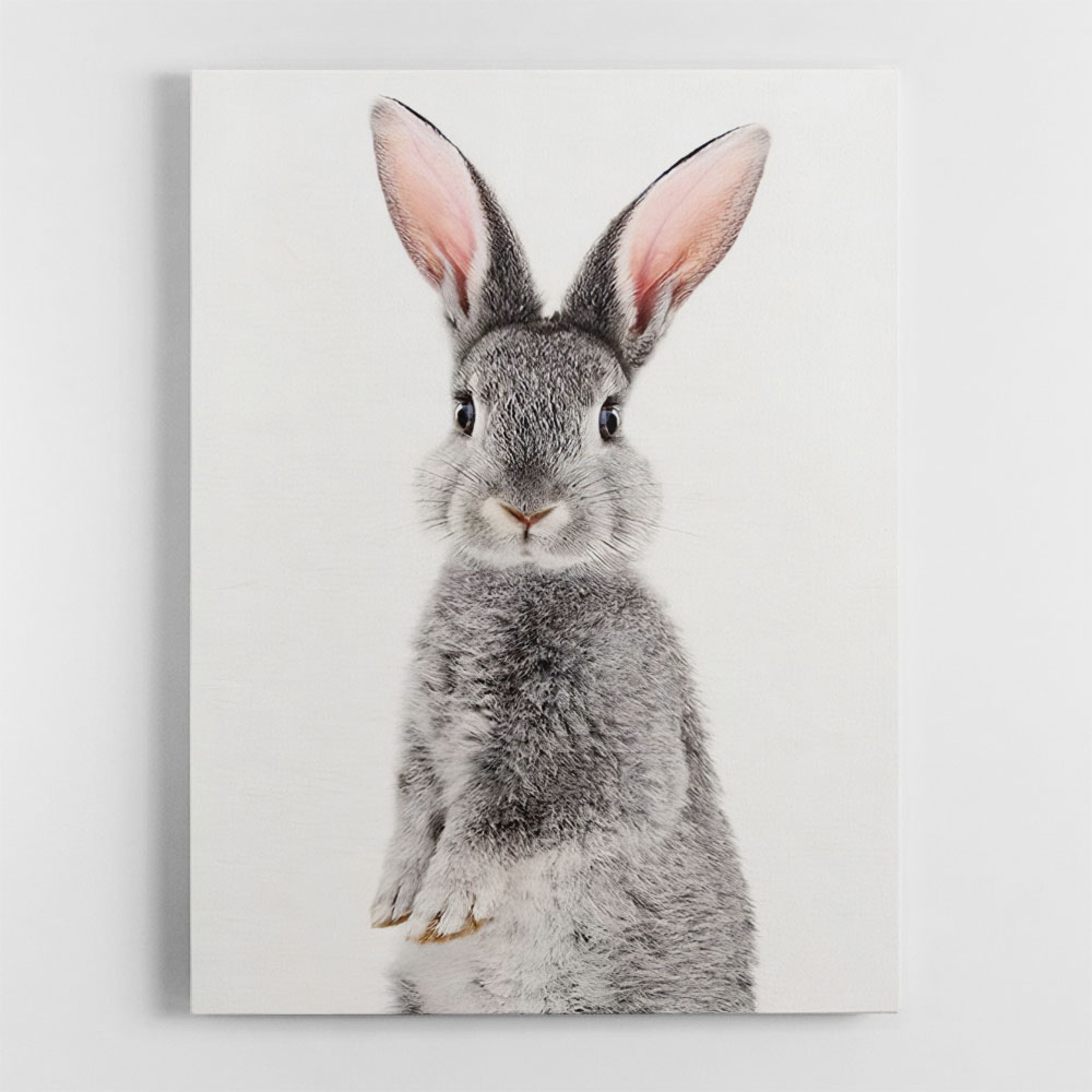 Baby Grey Rabbit Wall Art