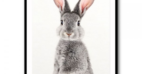 Baby Grey Rabbit Wall Art