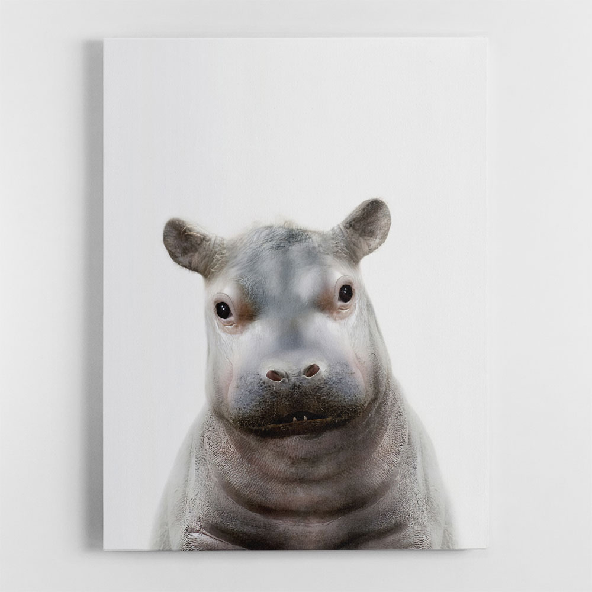 Baby Hippo Wall Art