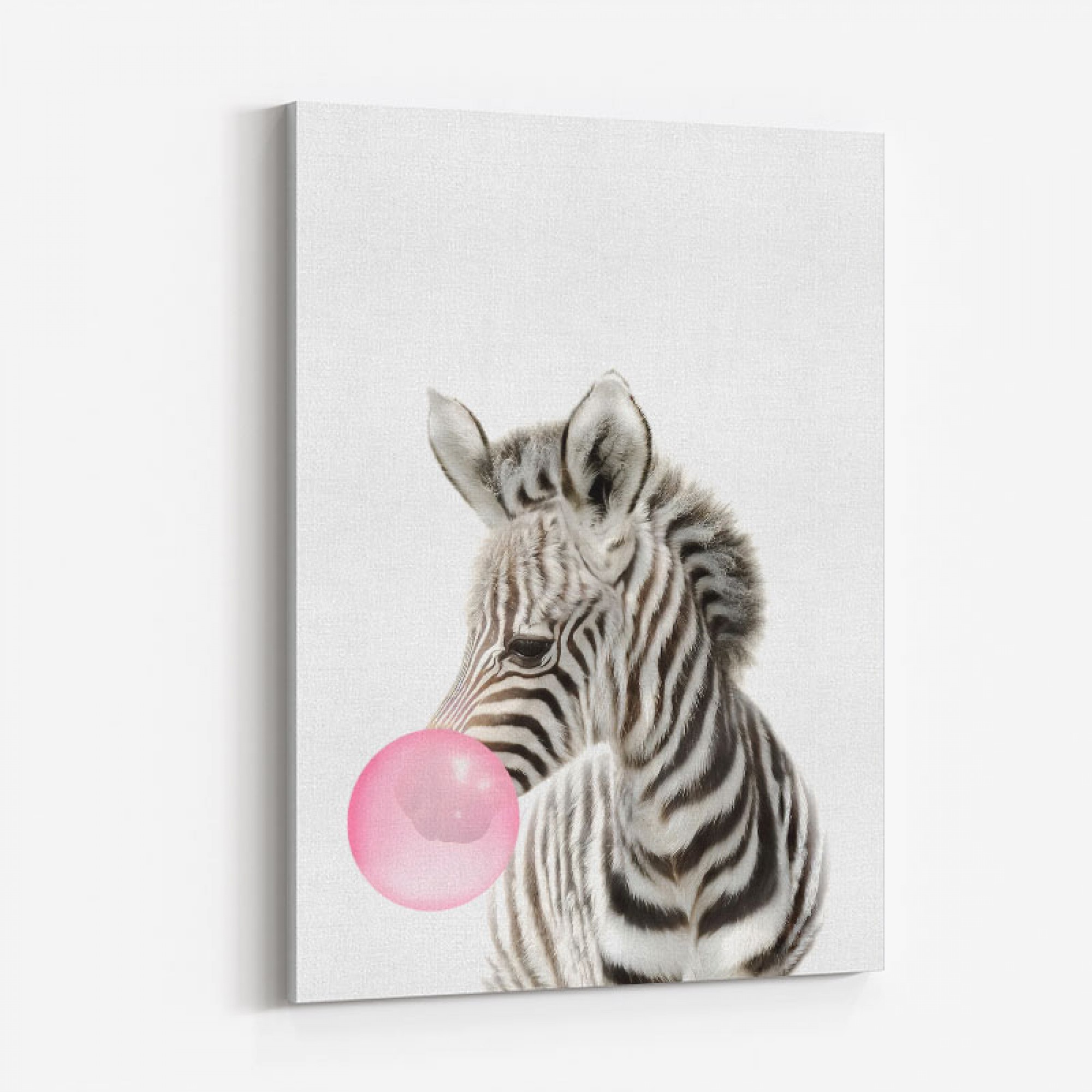 Zebra Bubble Gum Wall Art