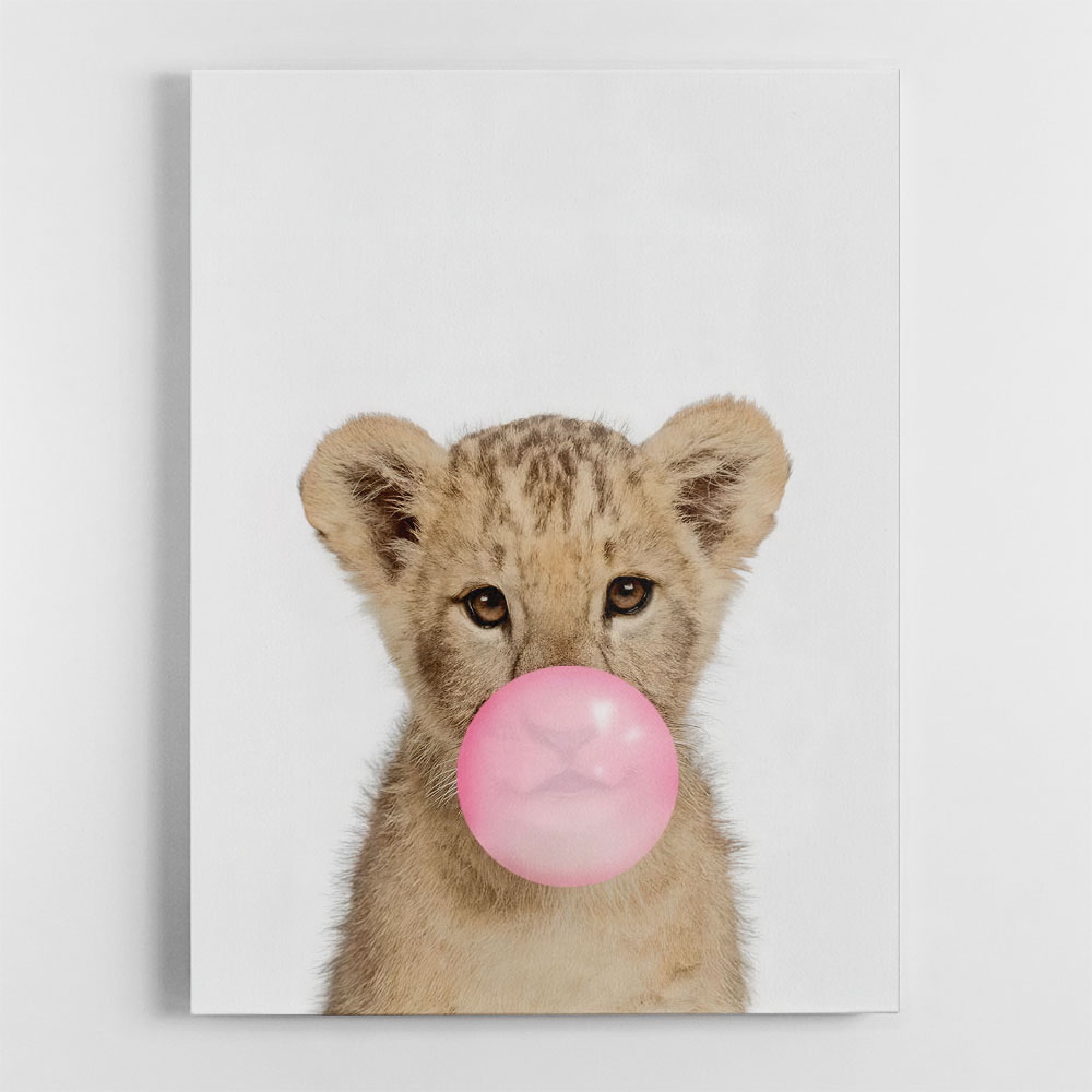Lion Bubble Gum Wall Art
