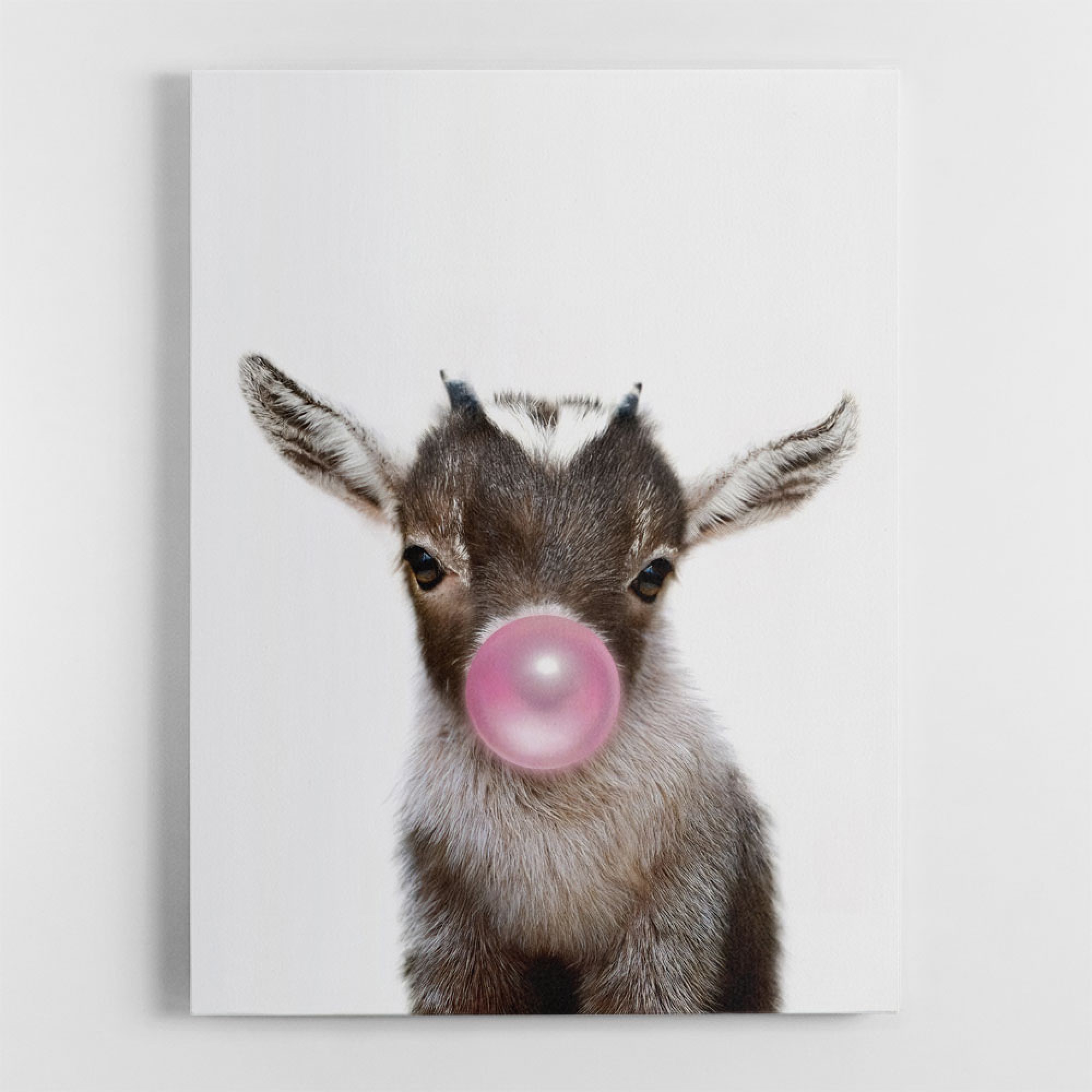 Baby Goat Bubble Gum Wall Art