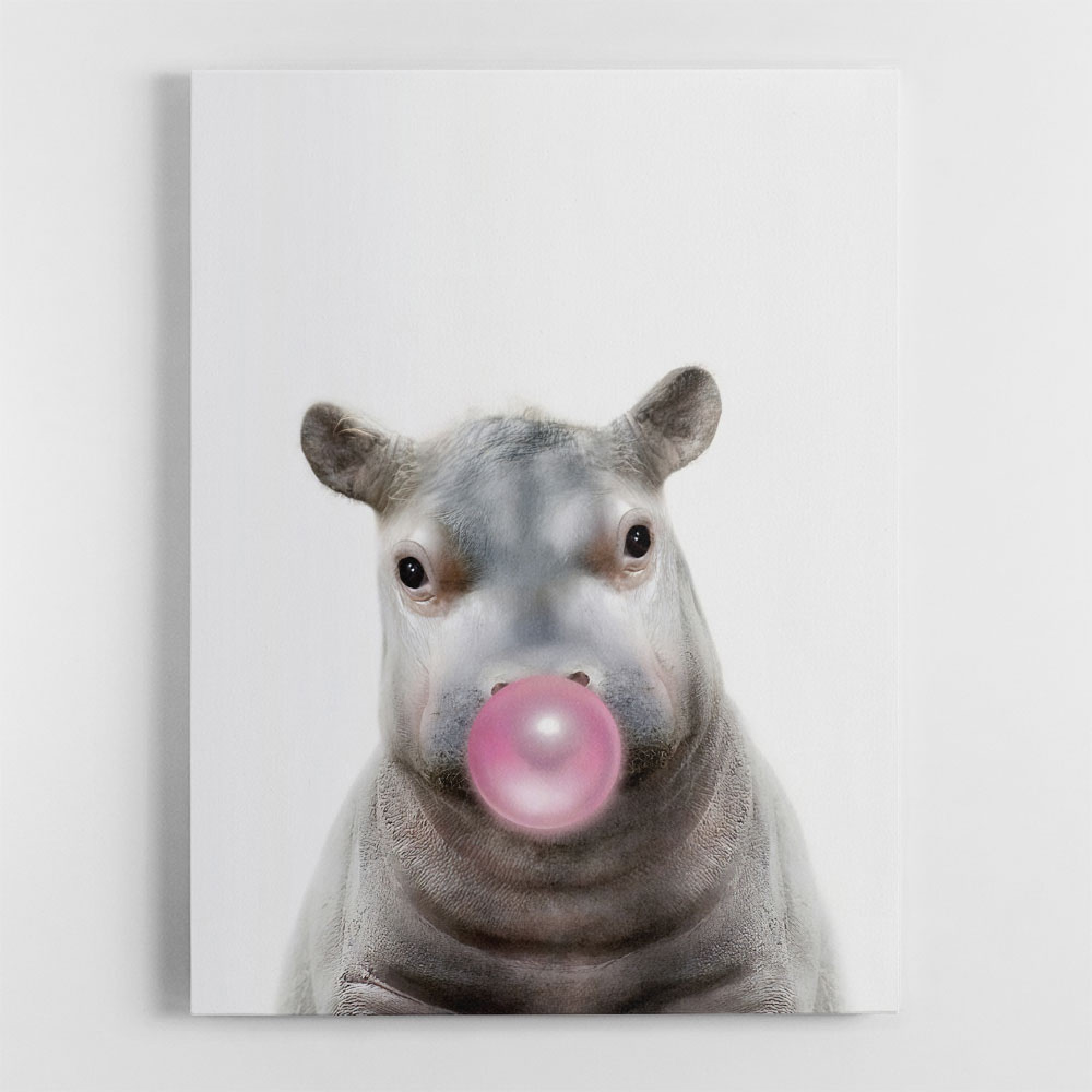 Baby Hippo Bubble Gum Wall Art