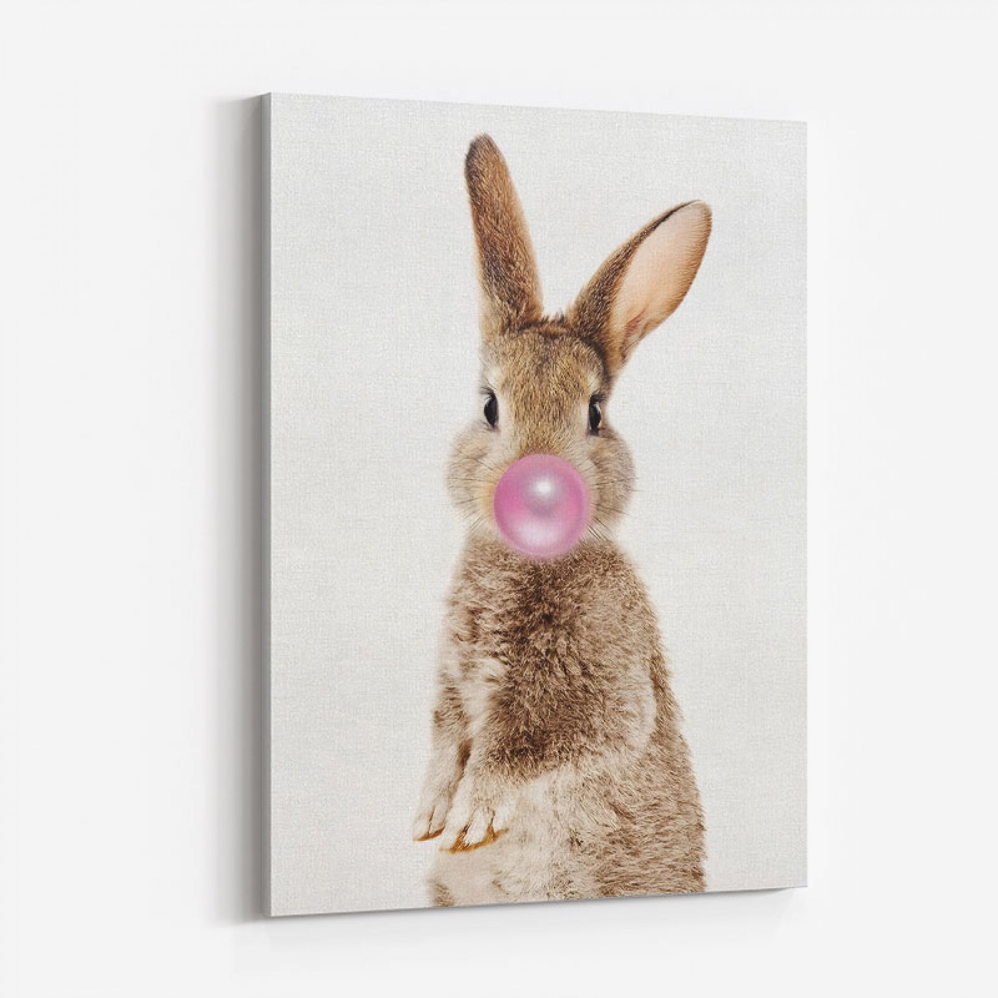 Rabbit Bubble Gum Wall Art