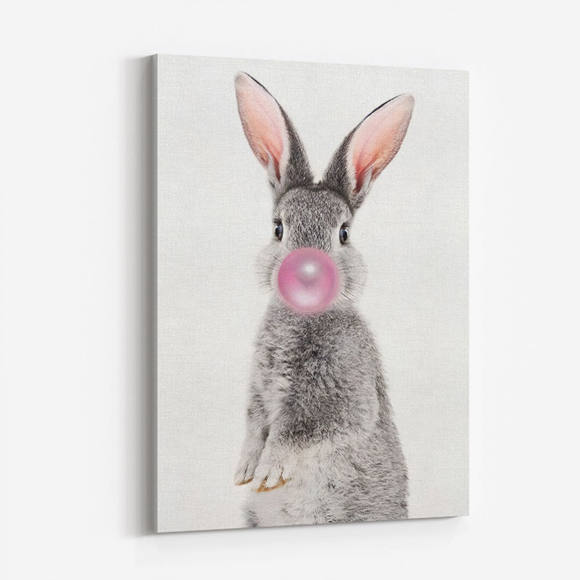 Grey Rabbit Bubble Gum Wall Art