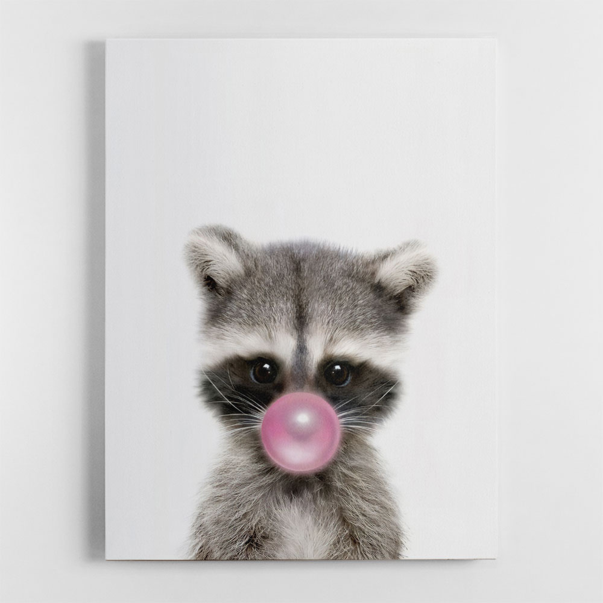 Raccoon Bubble Gum Wall Art