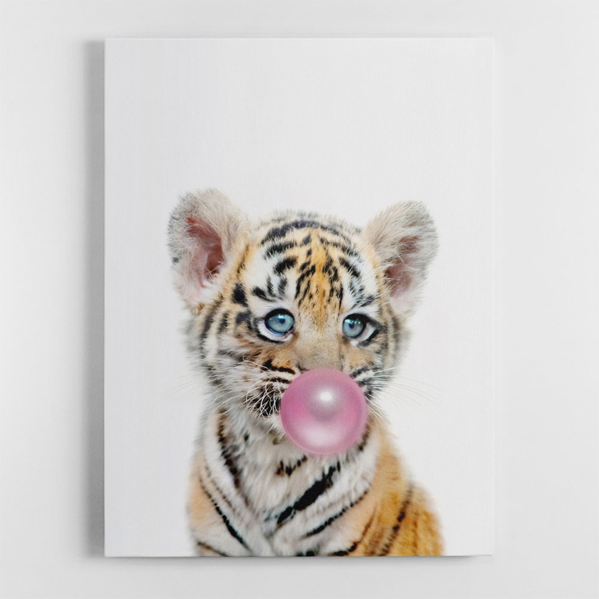 Tiger Bubble Gum Wall Art