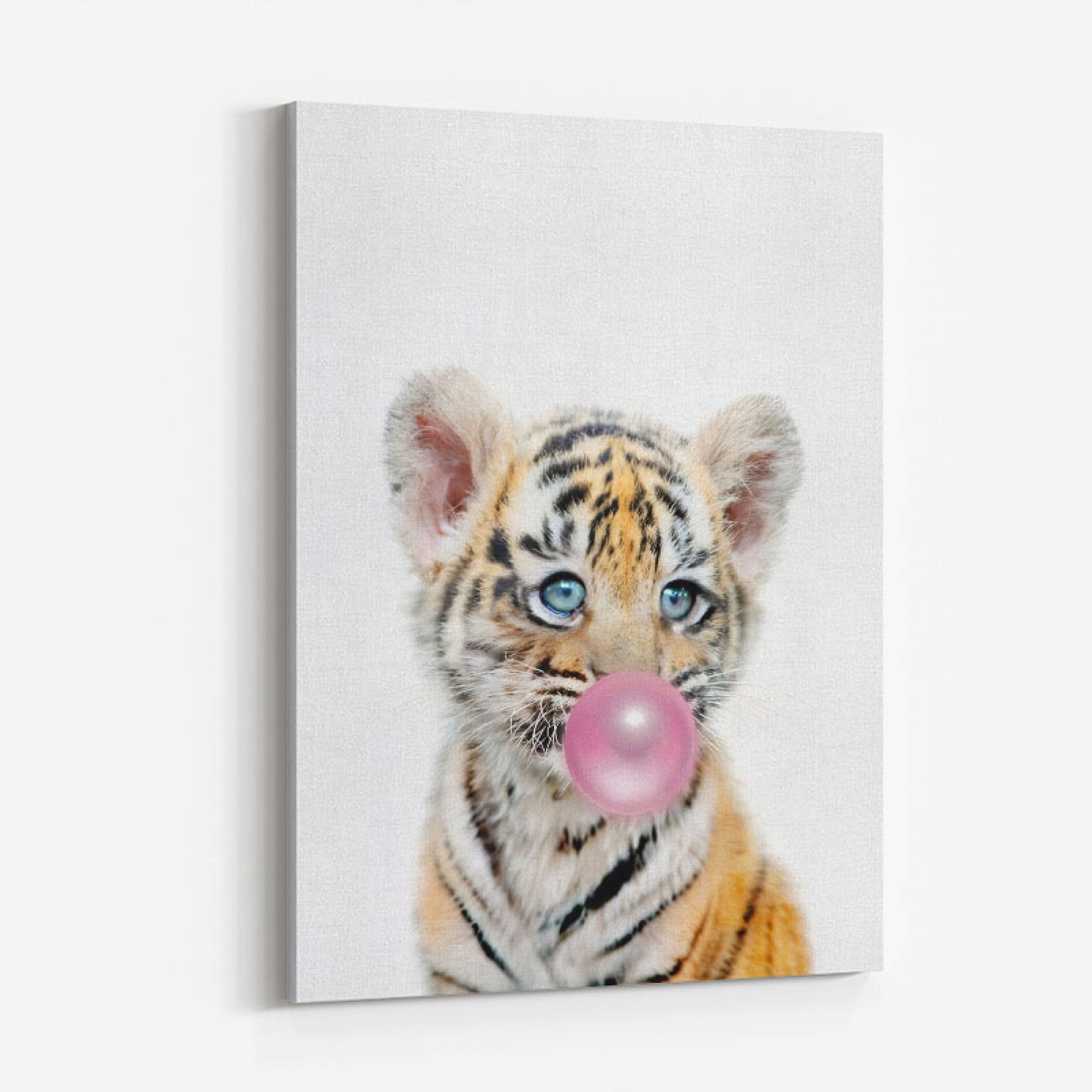 Tiger Bubble Gum Wall Art