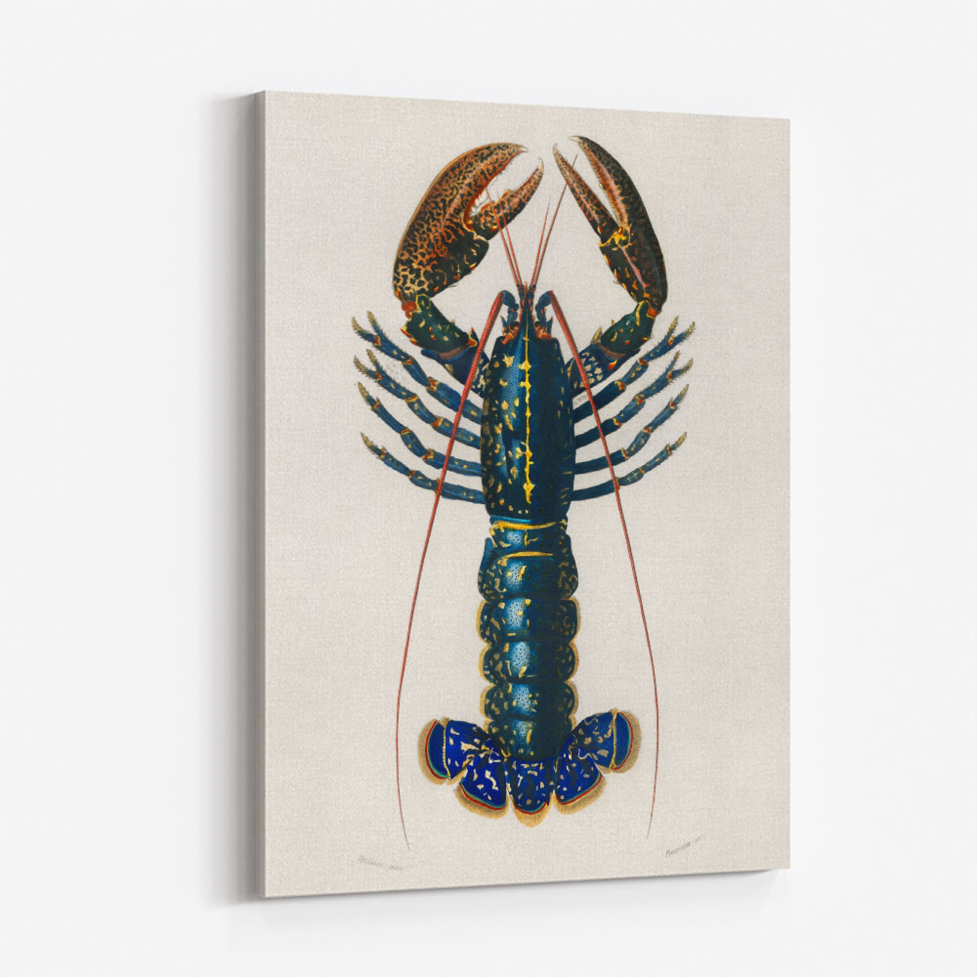 Crimson Crawfish Wall Art