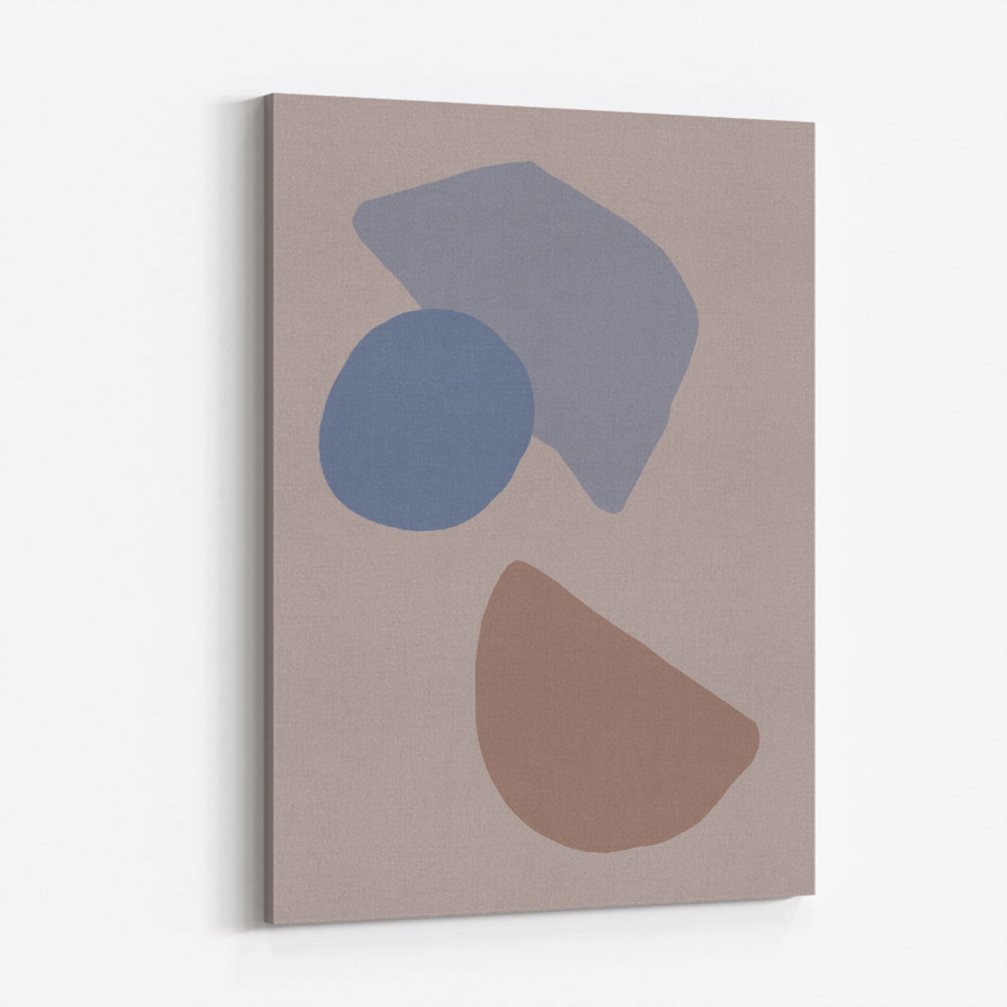 Organic Shapes 03 Wall Art