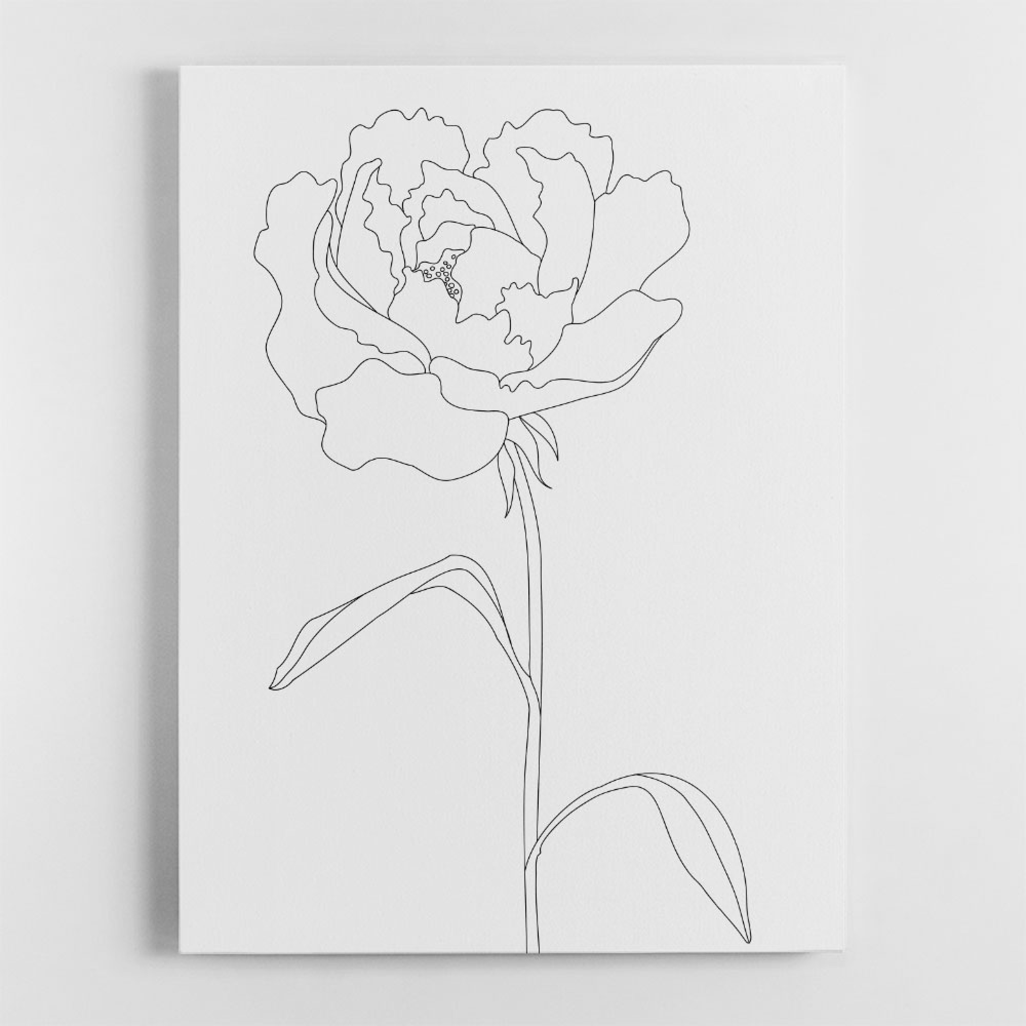 Peony Lines Line Art