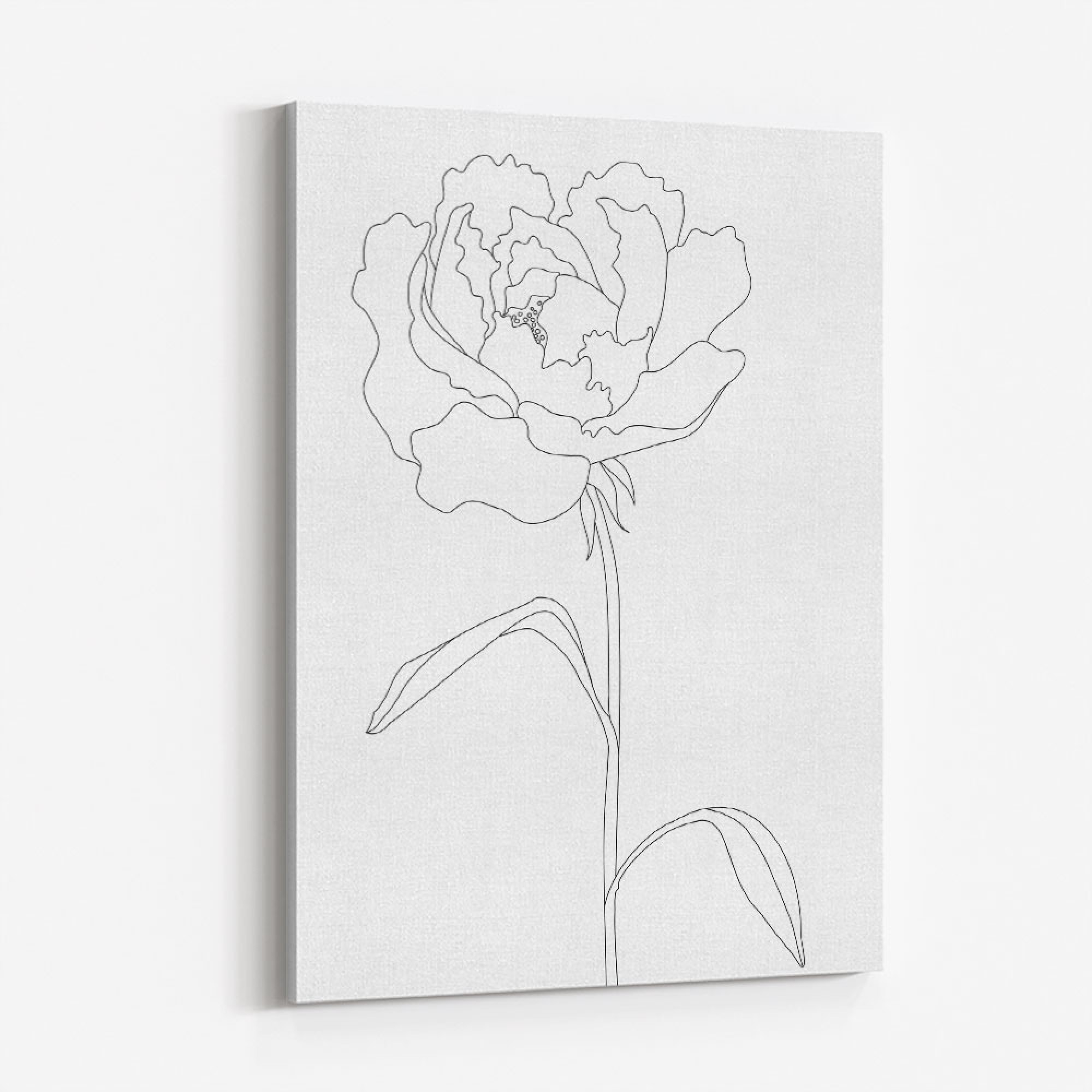 Peony Lines Line Art