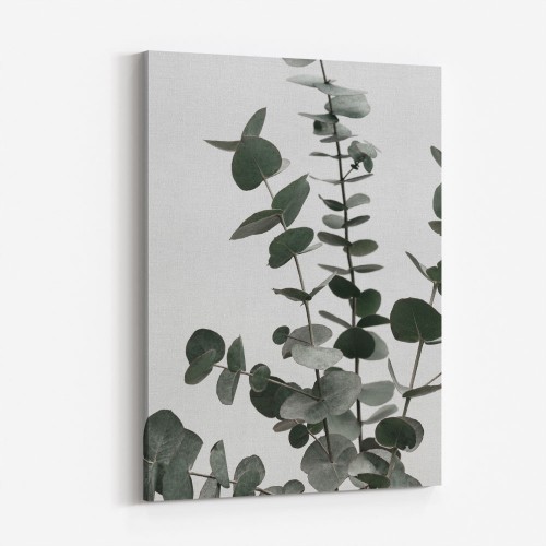Botanical Themed Wall Art