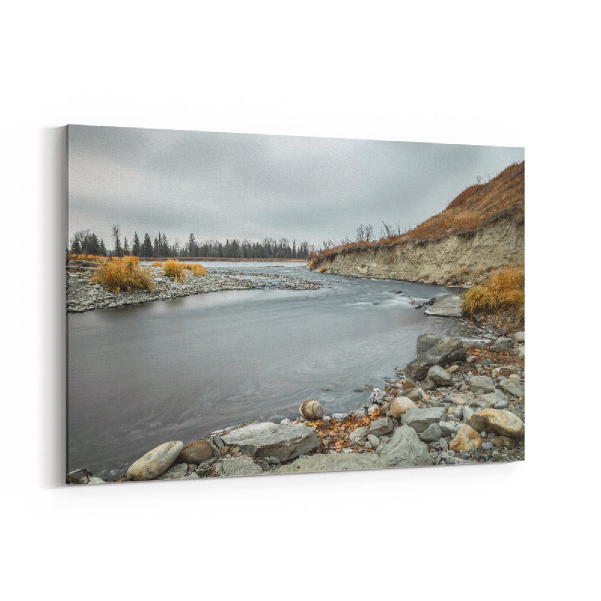 Bow By Baz Diprose Wall Art