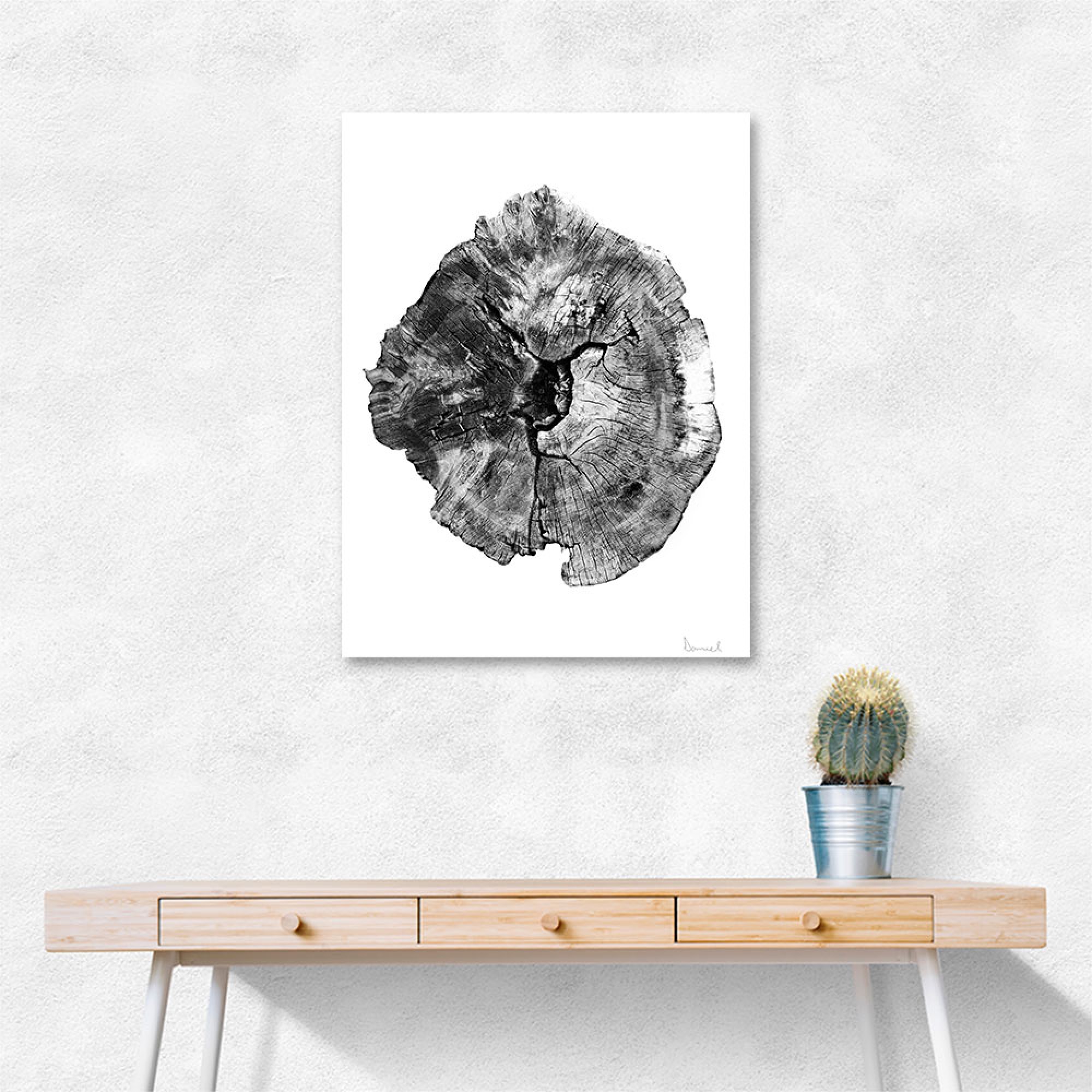 Oak Log Abstract Wall Art