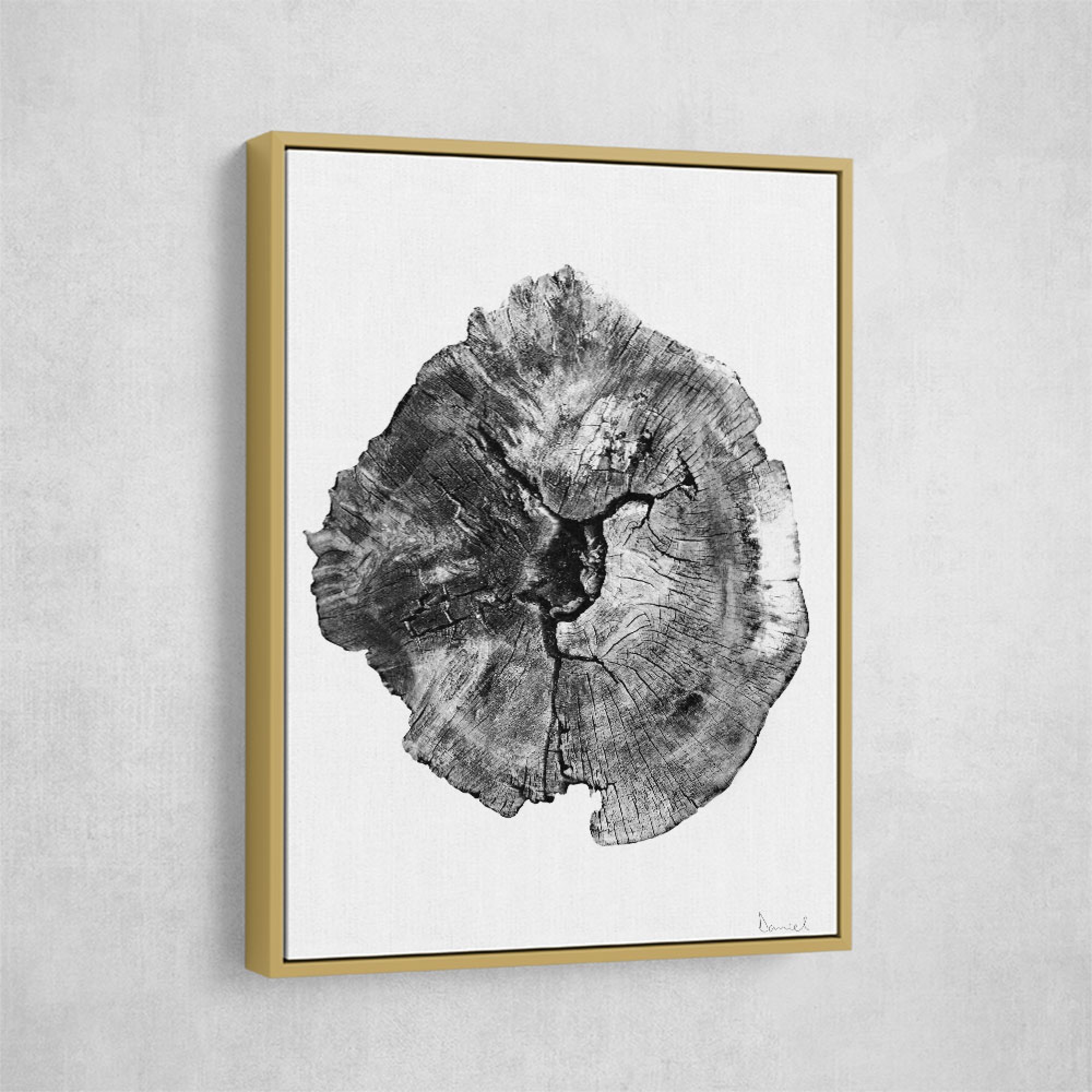 Oak Log Abstract Wall Art