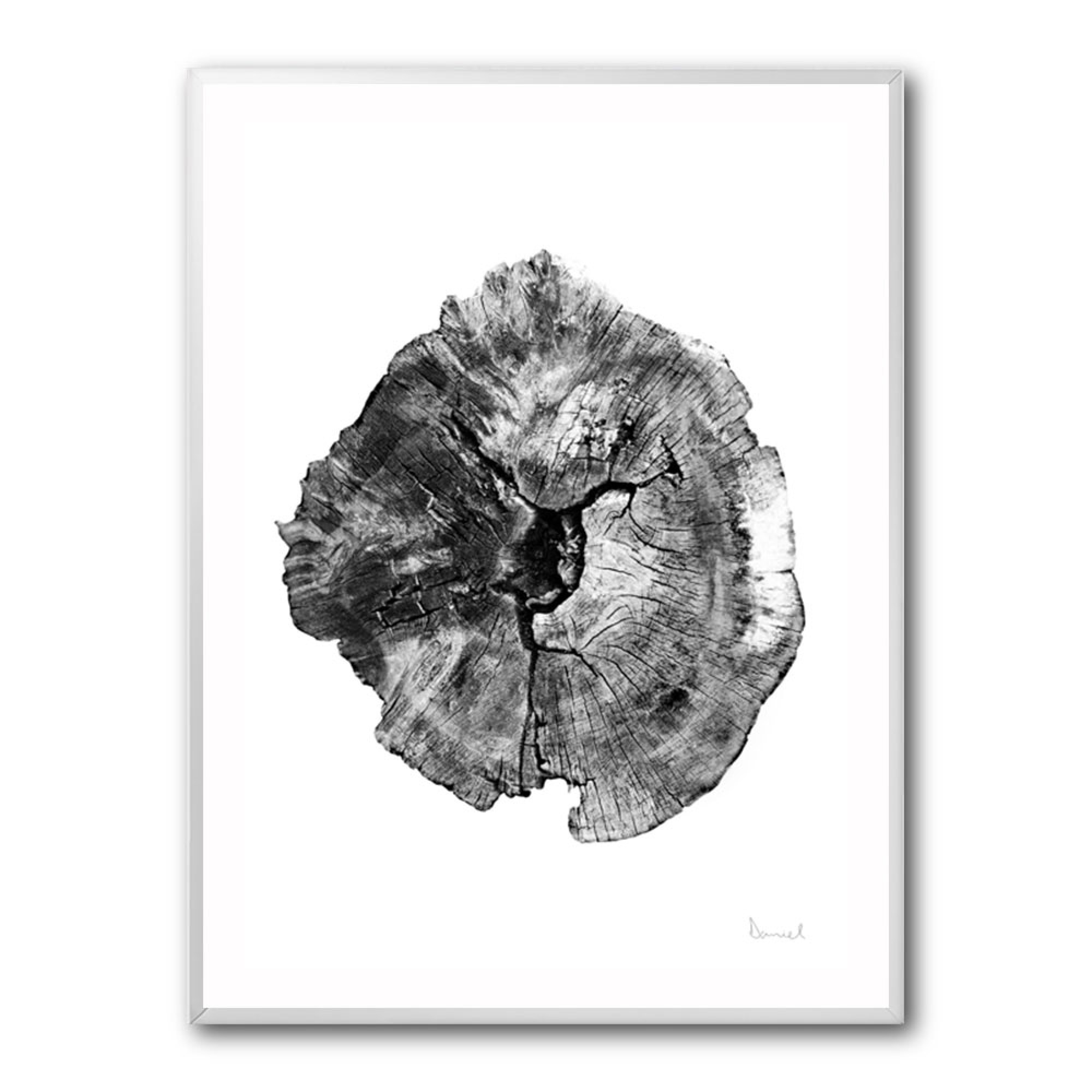 Oak Log Abstract Wall Art