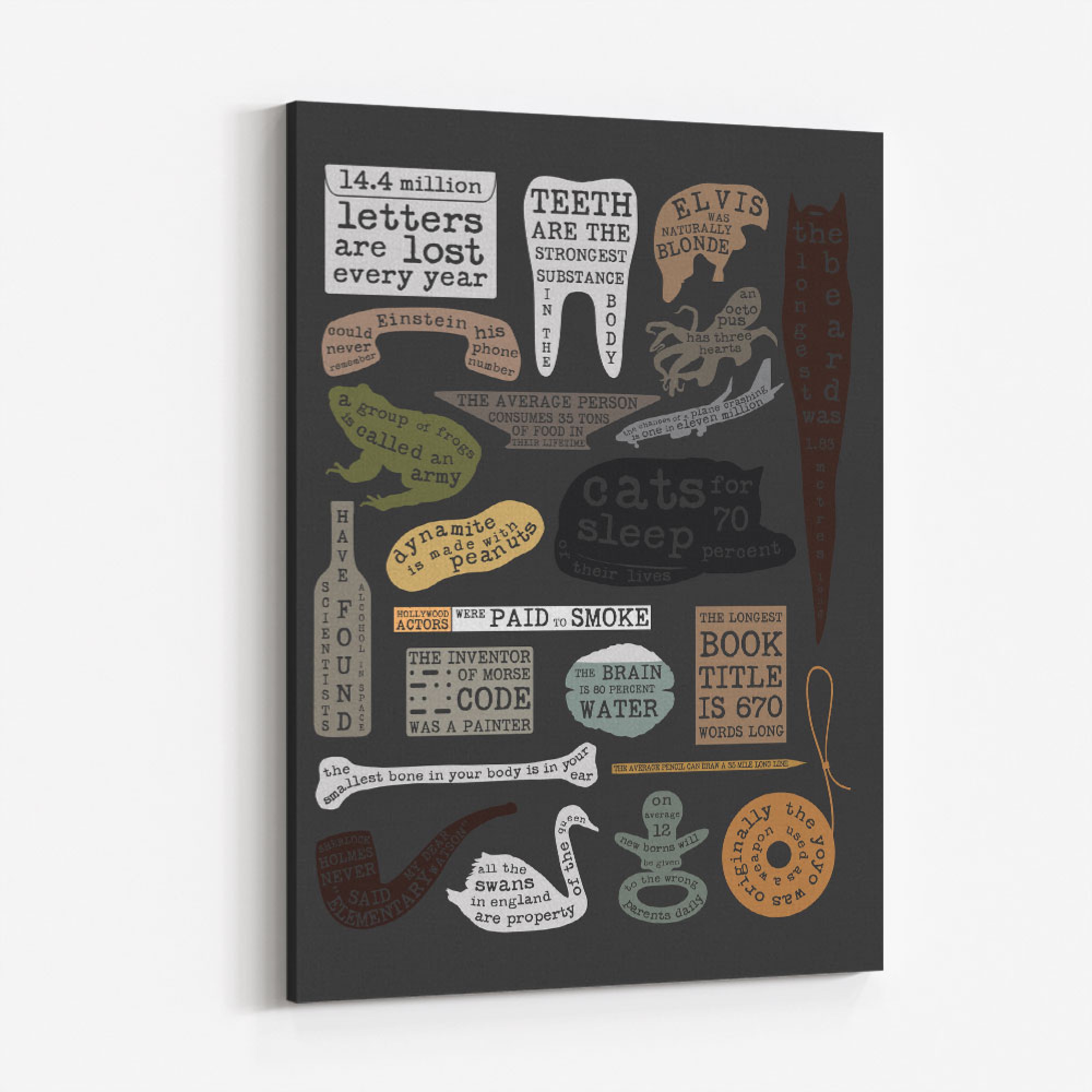 Useful Facts Wall Art