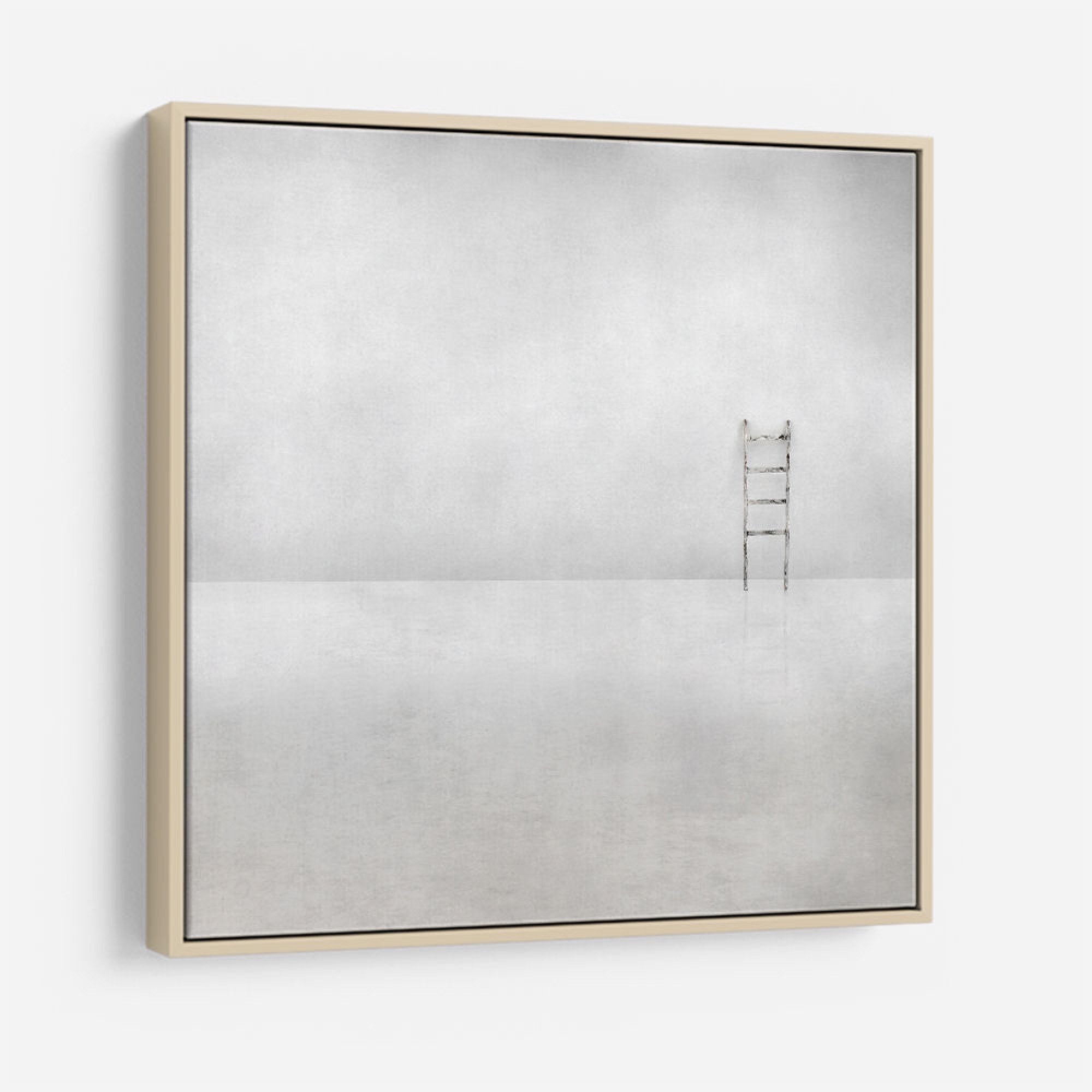 The Social Ladder Photography Wall Art