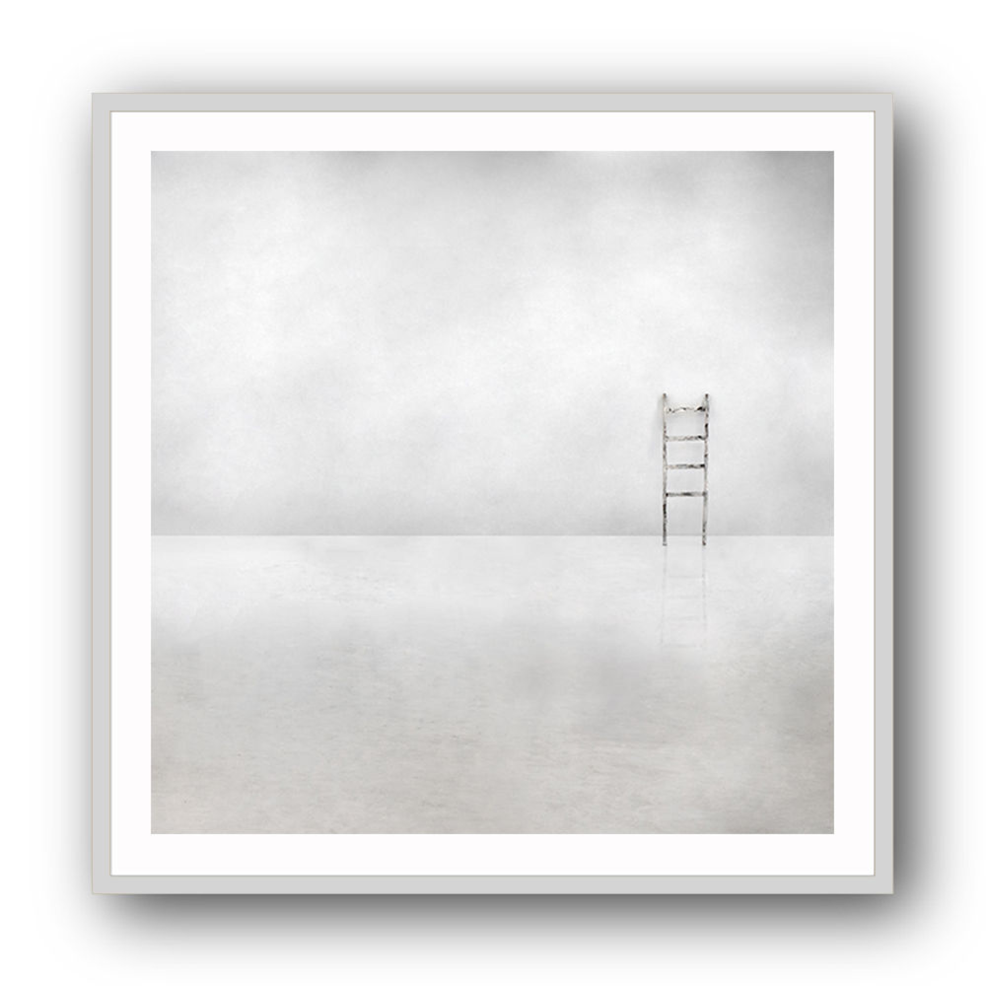 The Social Ladder Photography Wall Art