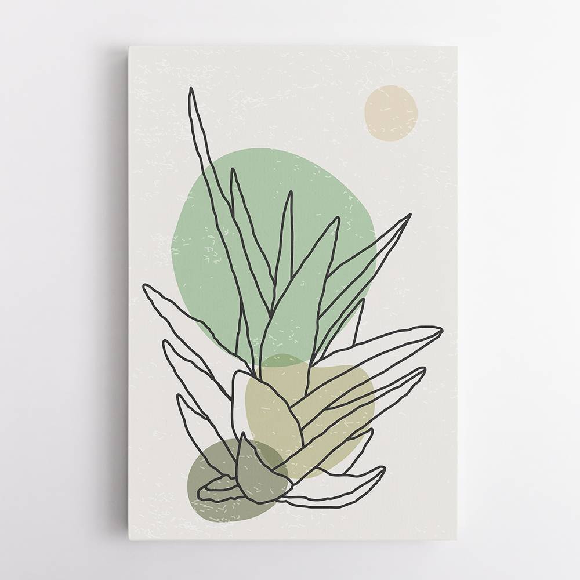 Color Abstract Agave #3 Wall Art