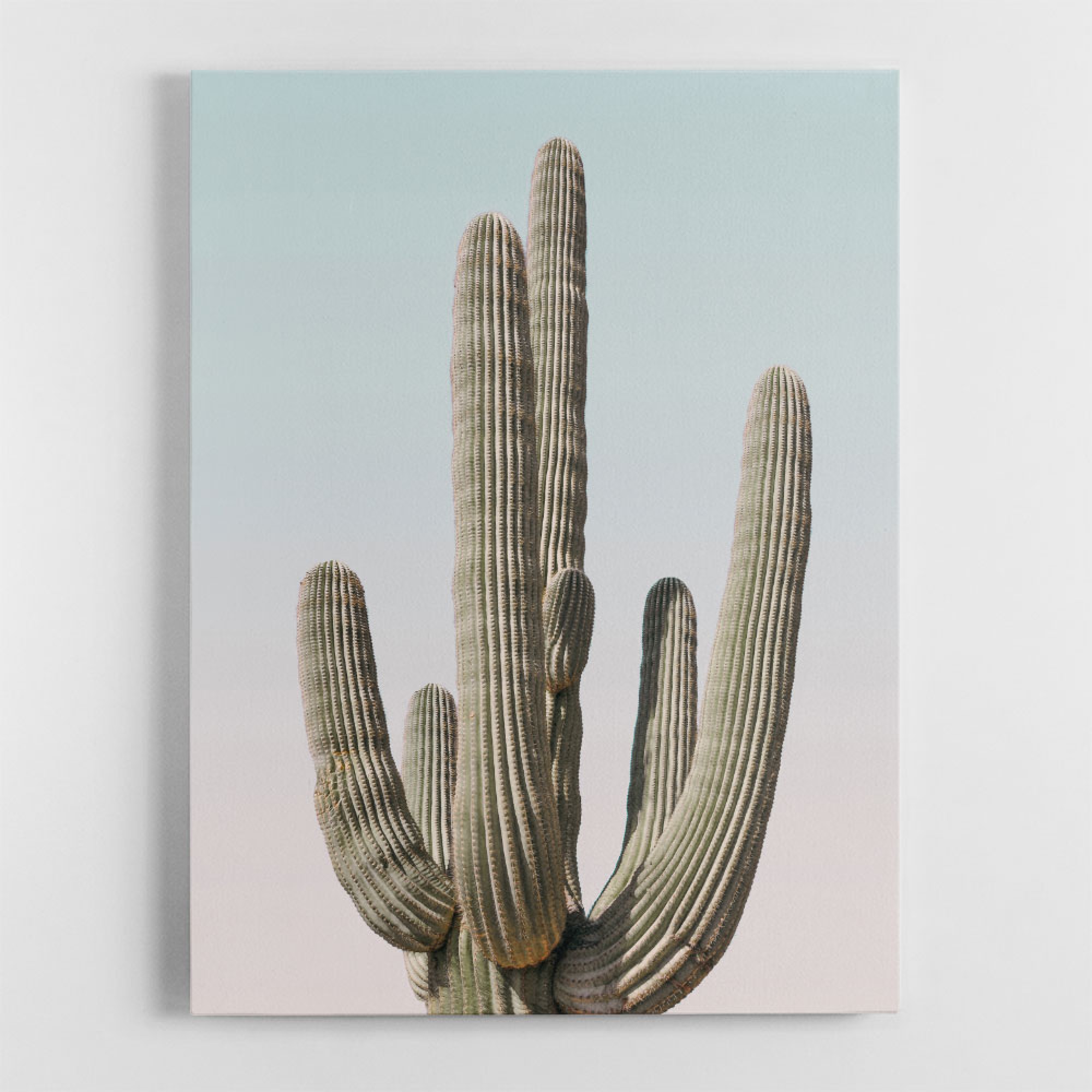 Saguaro Wall Art