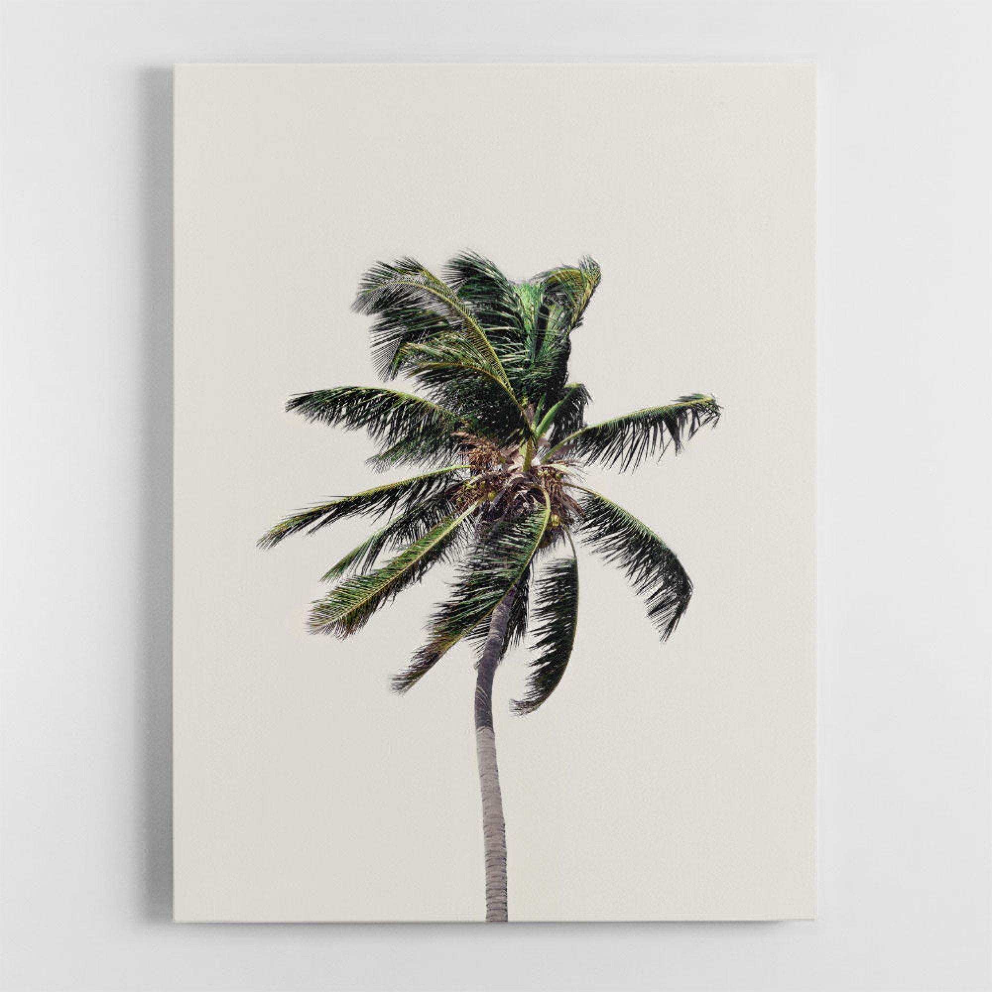 Windy Palm Tree Wall Art