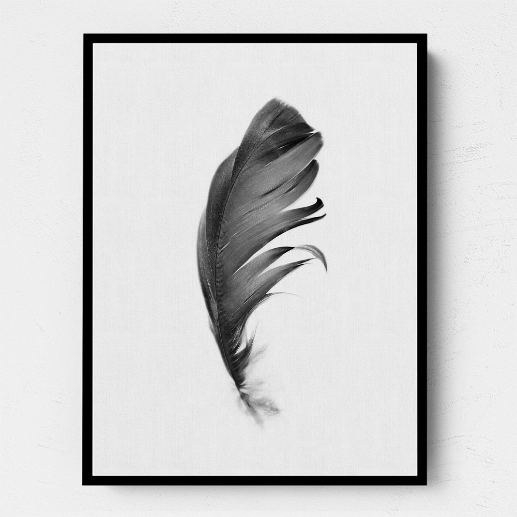 Feather Wall Art
