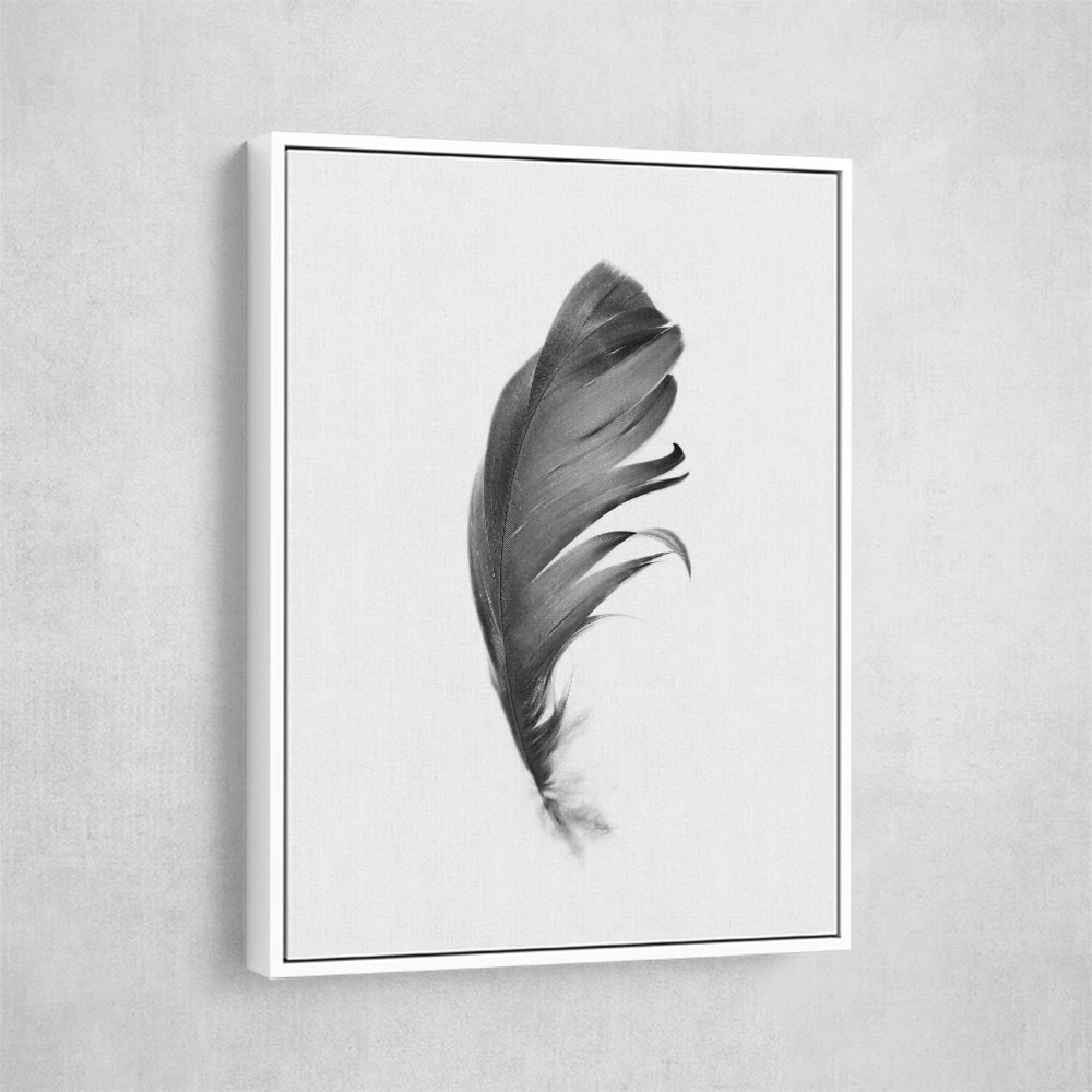 Feather Wall Art