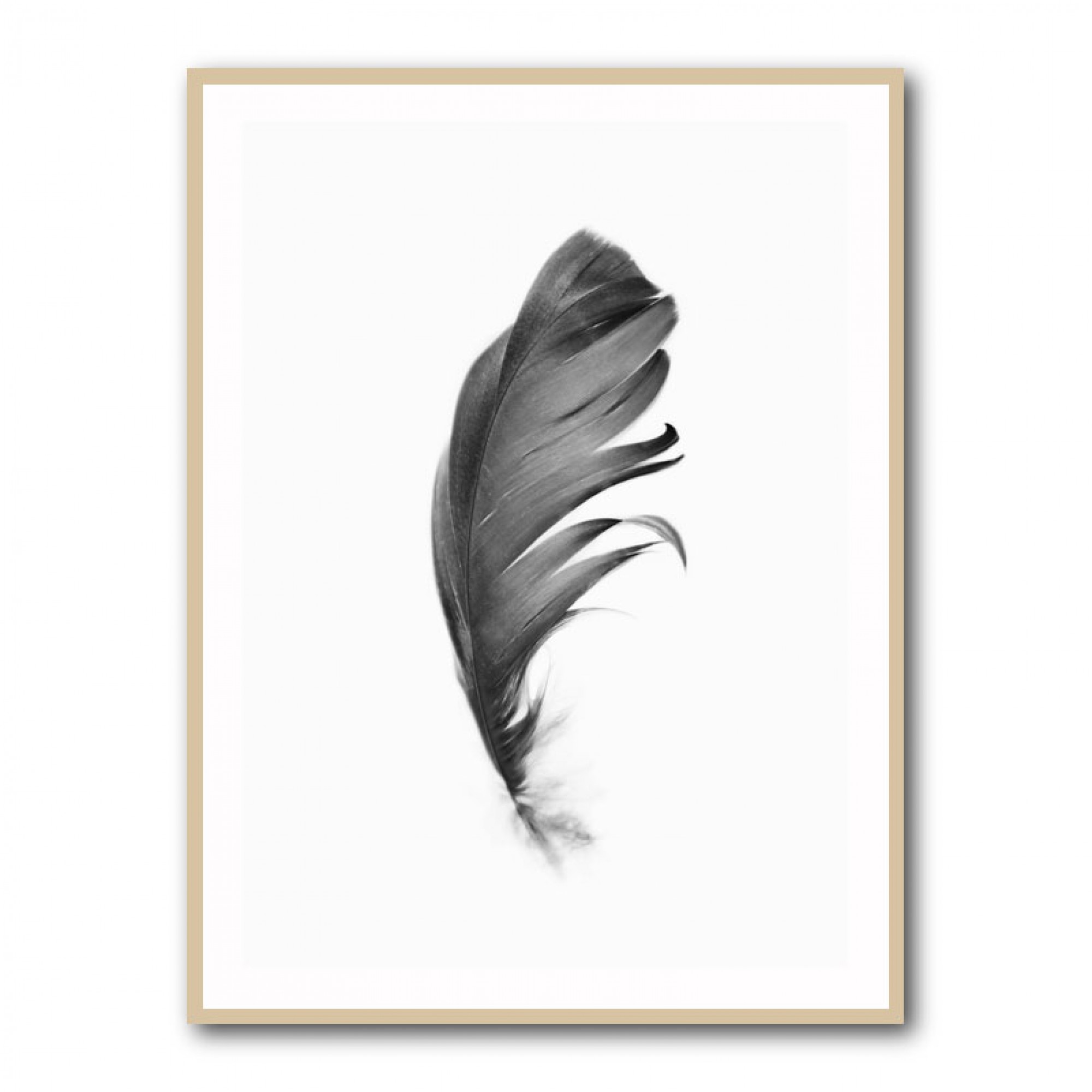 Feather Wall Art