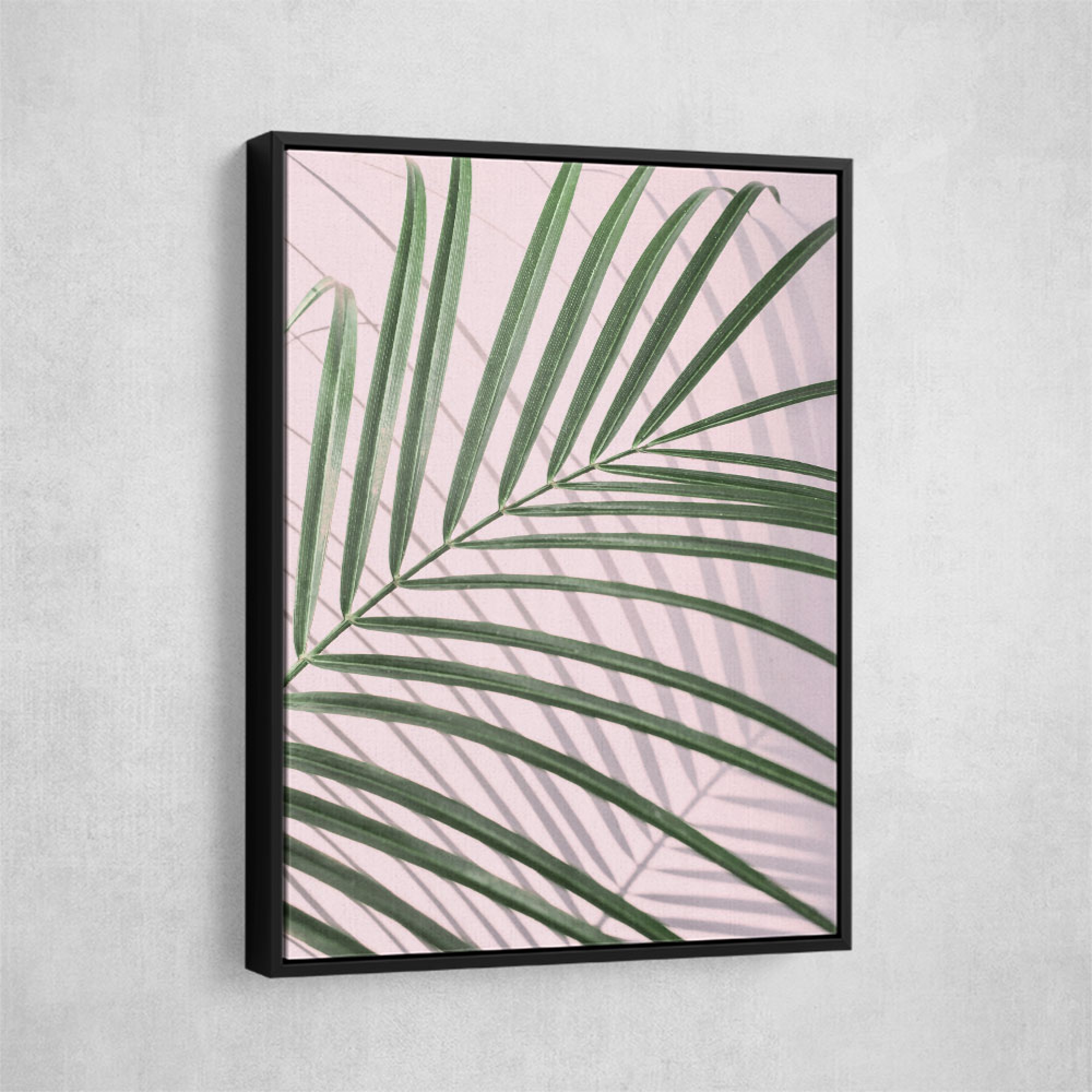 Palm Leaf Shadow Wall Art