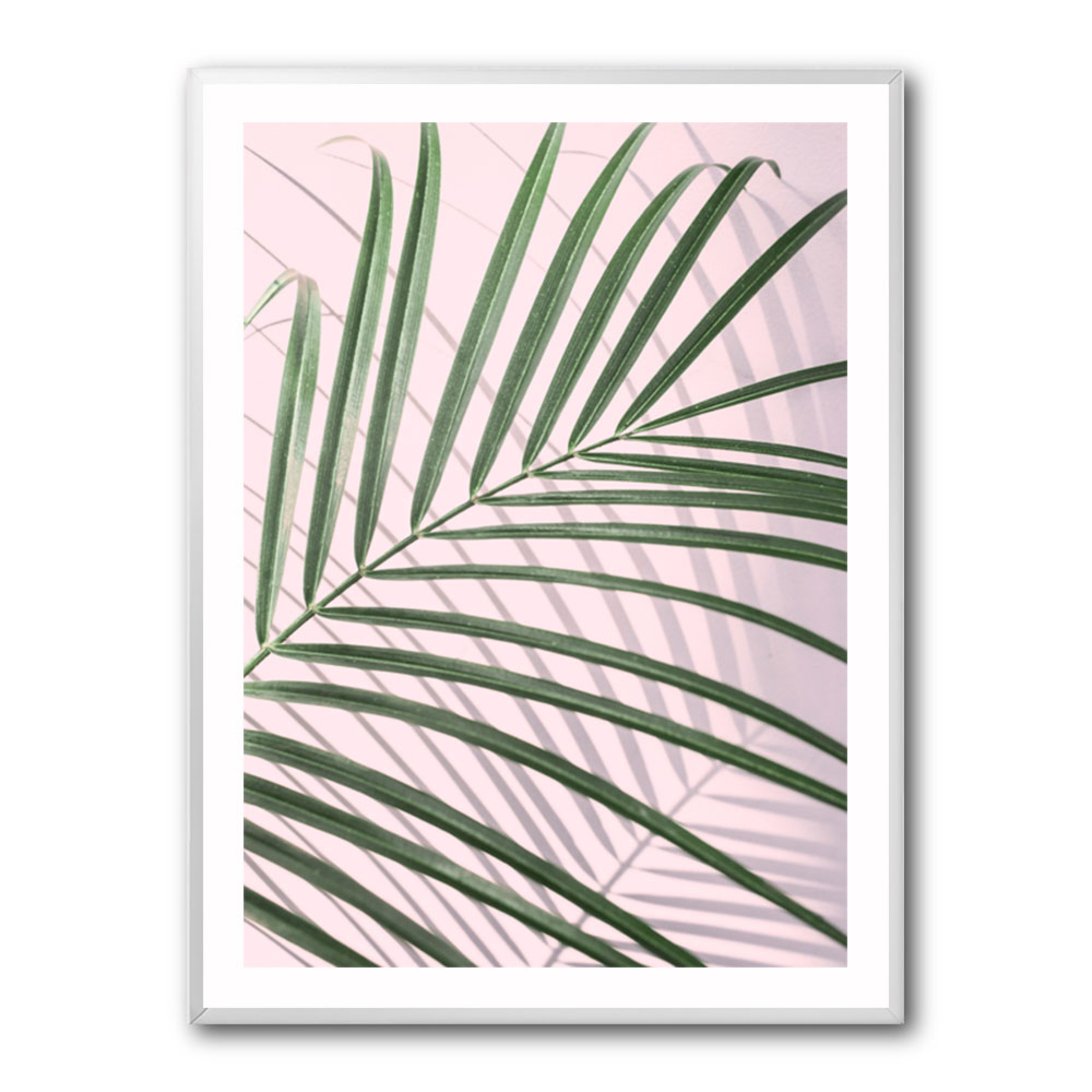 Palm Leaf Shadow Wall Art