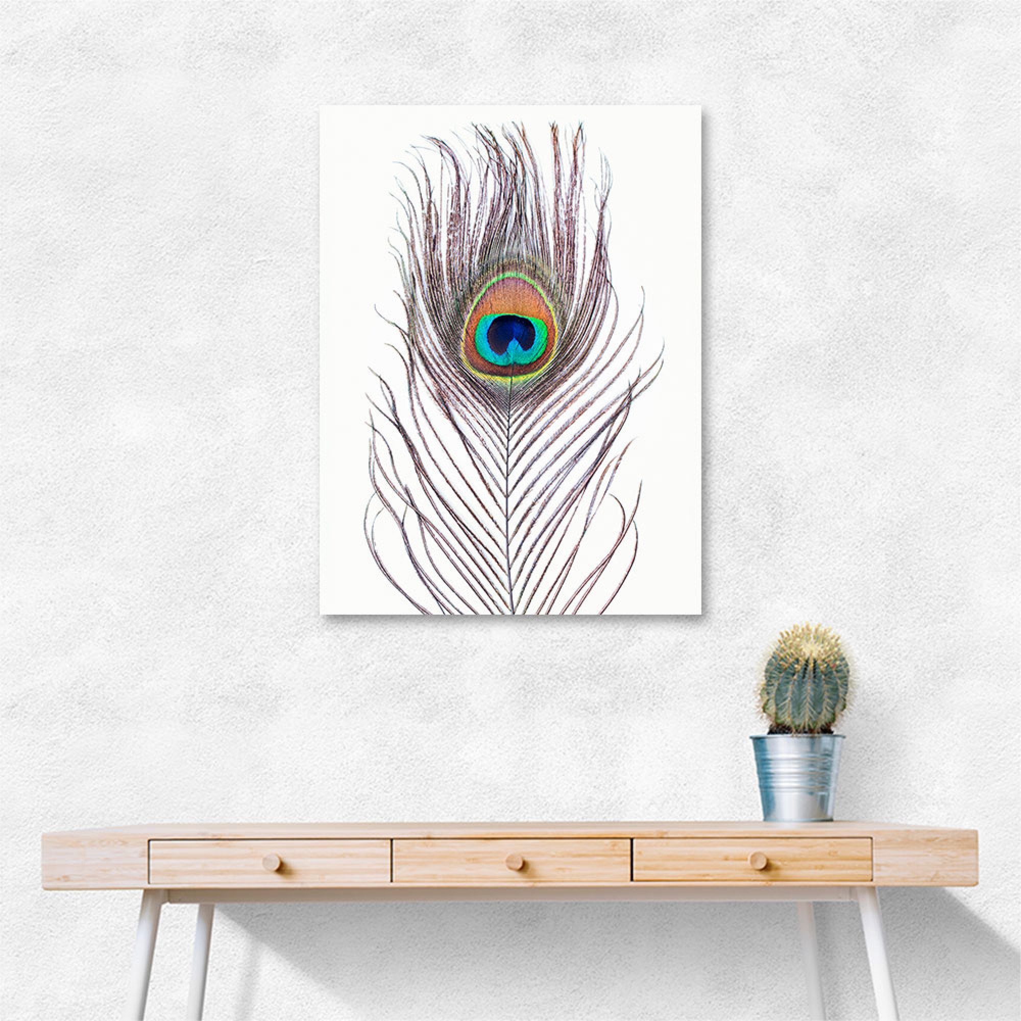 Peacock Feather Wall Art