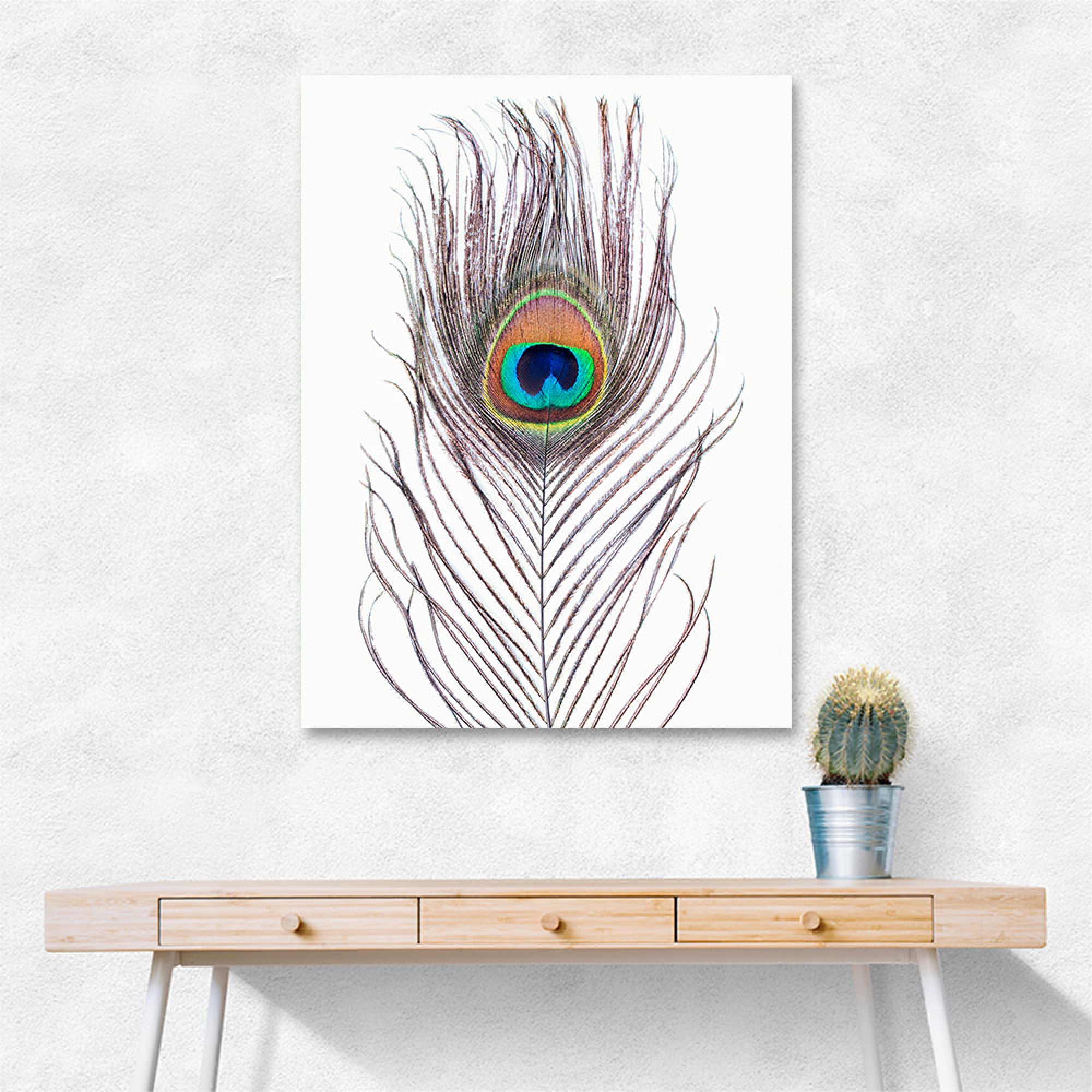 Peacock Feather Wall Art