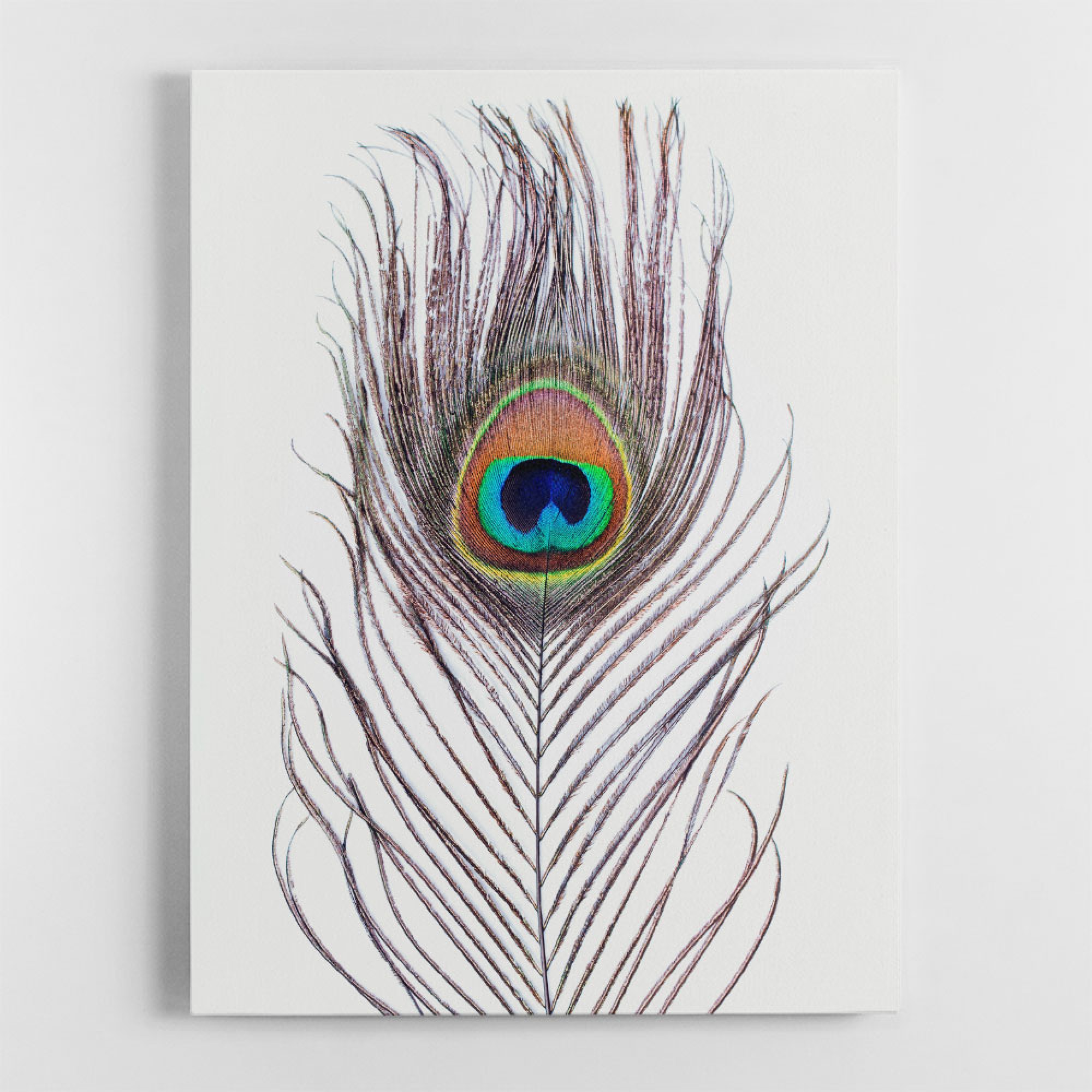 Peacock Feather Wall Art